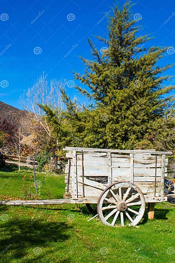 Old cart under the tree stock photo. Image of green - 148468002