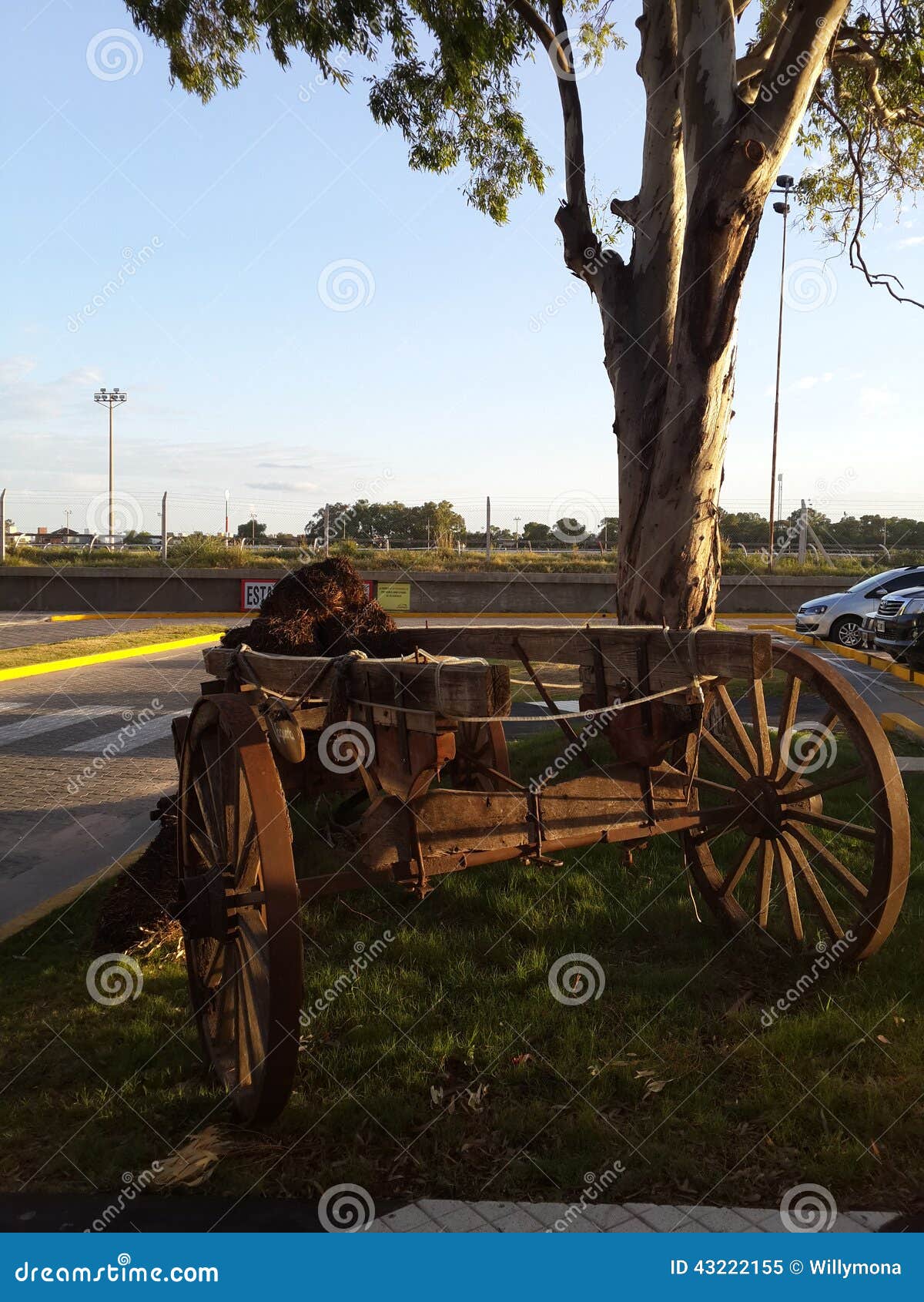 Old cart editorial image. Image of transportation, cart - 43222155