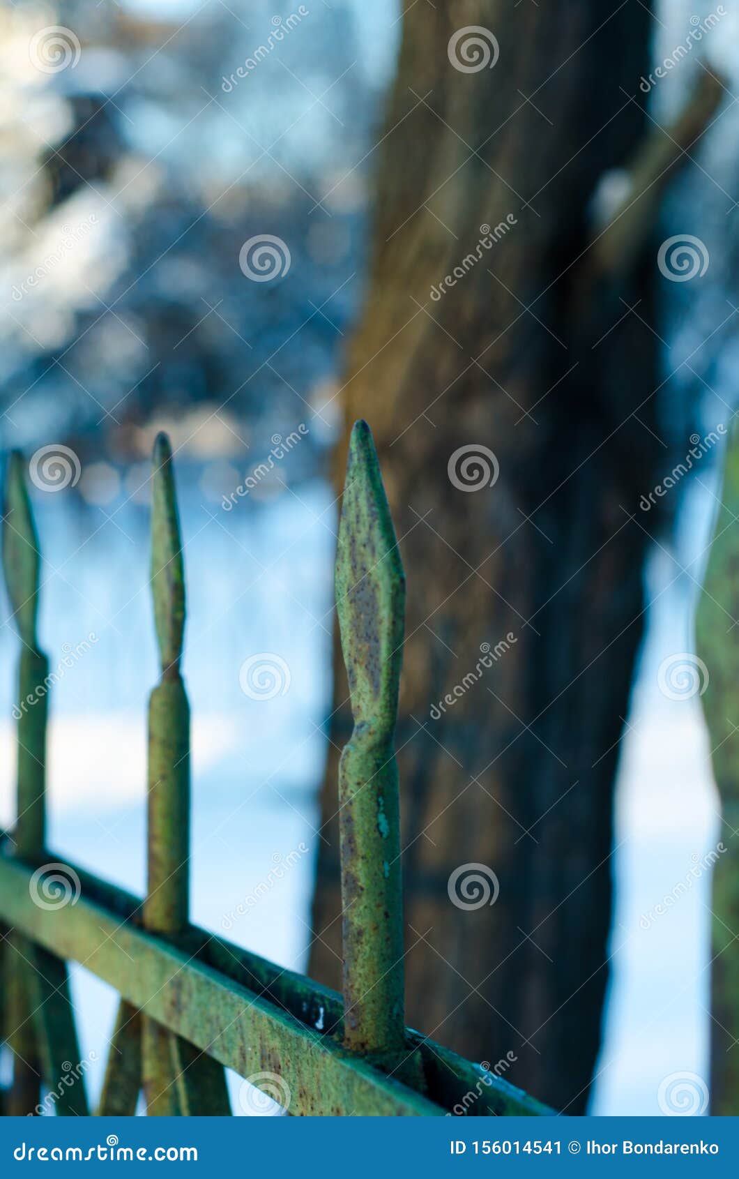 Old Cast Iron Spiked Fence in a Park Stock Image - Image of entrance ...