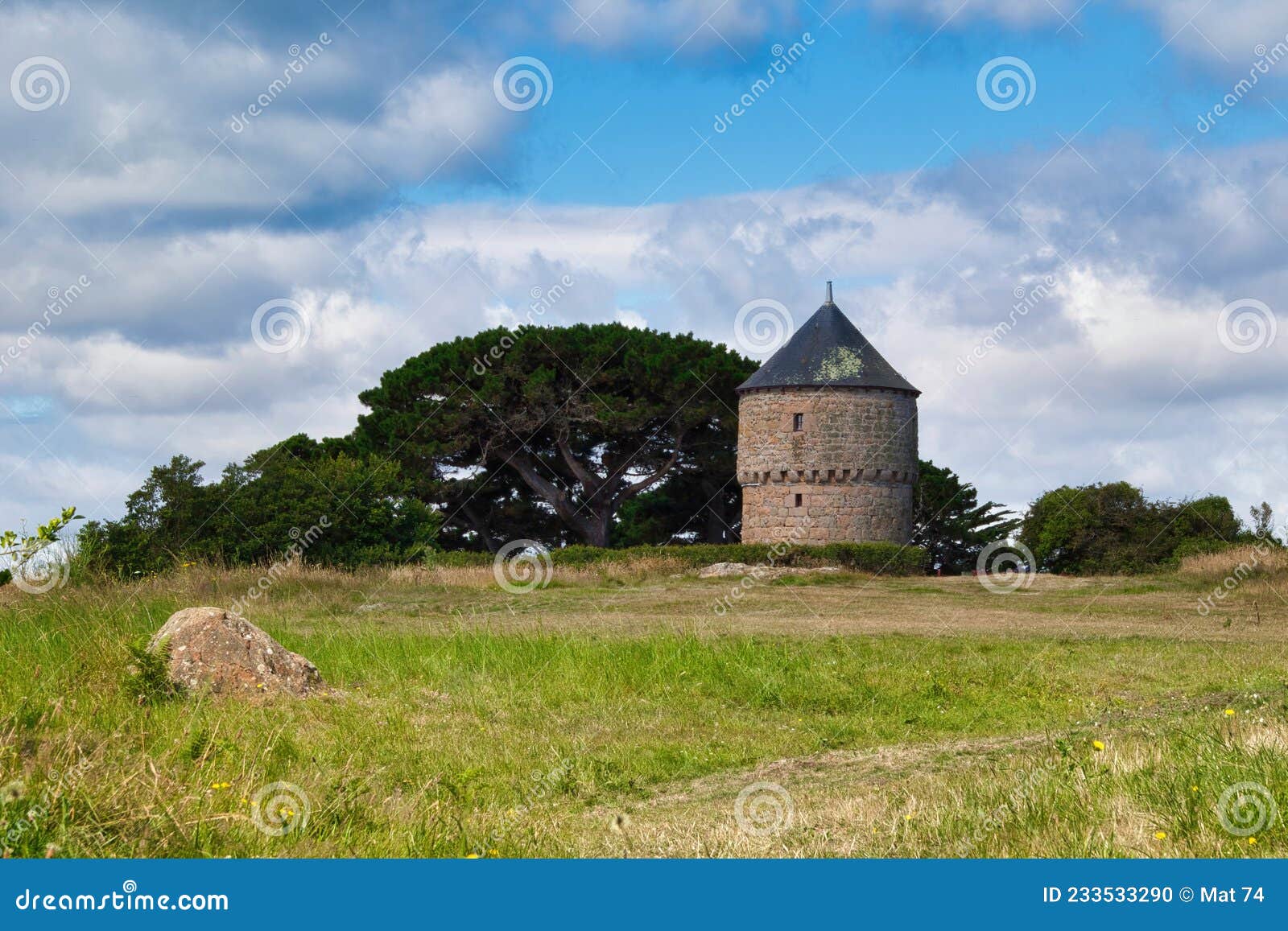 Old castle in the field stock photo. Image of rural - 233533290