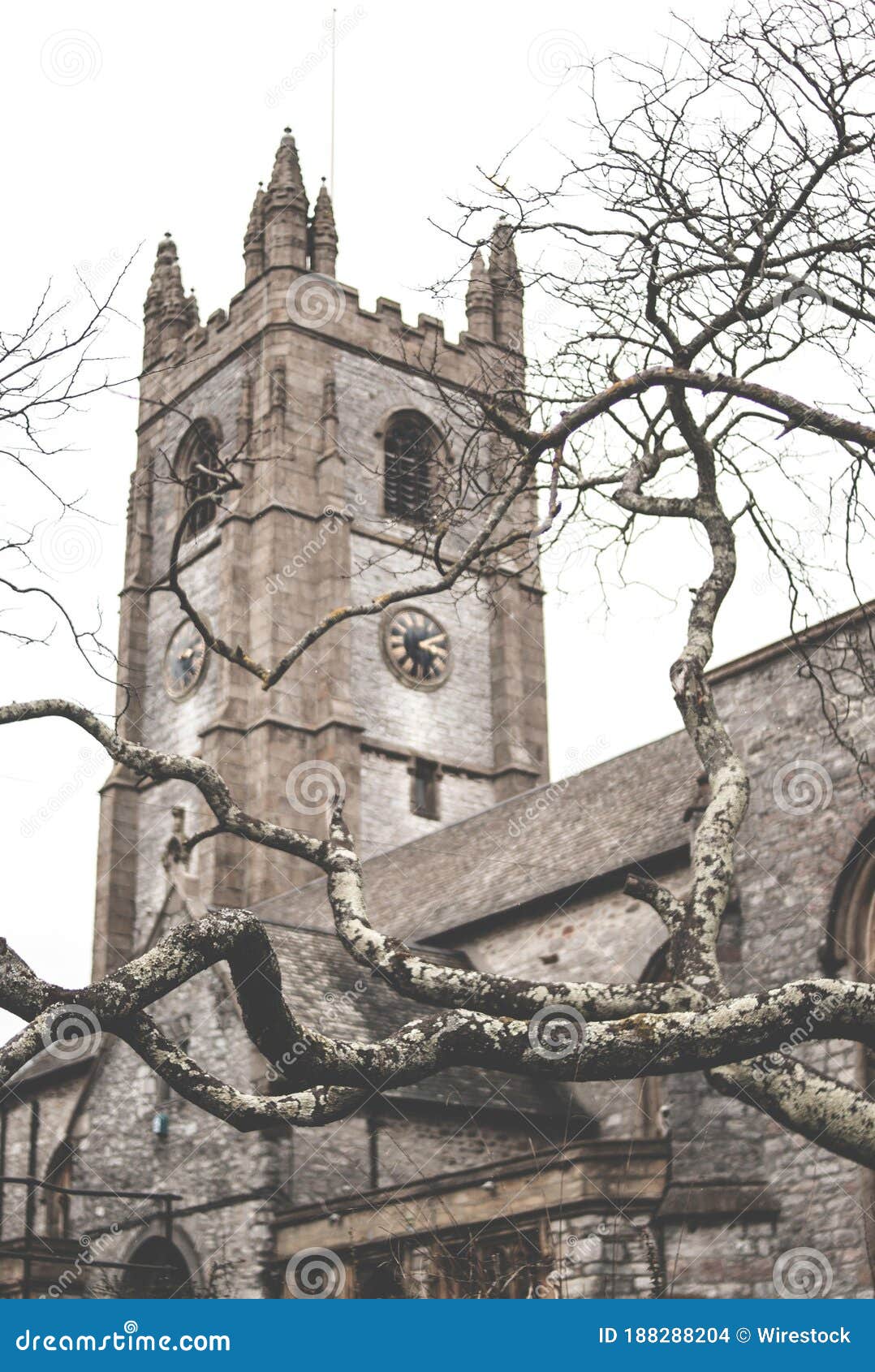Old Castle in Front of the Branch of the Tree Under the Clouded Sky ...