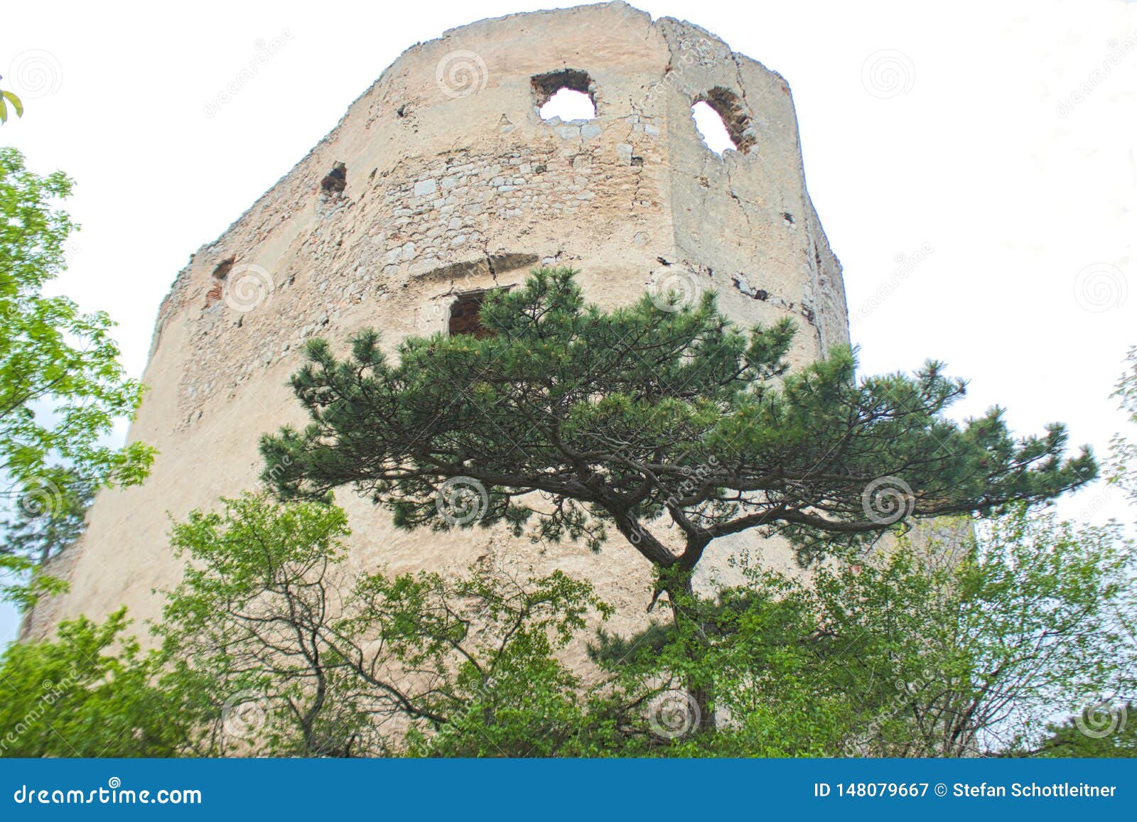 Old Castle Ruin Tower in the Woods with a Tree in Front Stock Image ...