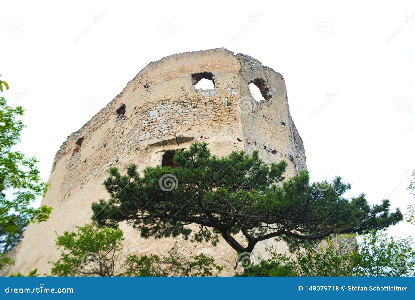 Old Castle Ruin Tower in the Woods with a Tree in Front Stock Photo ...