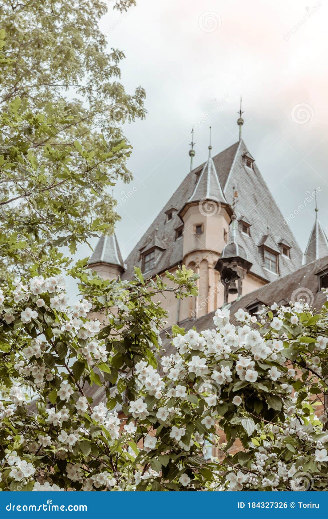 Old Castle in spring stock photo. Image of history, european - 184327326