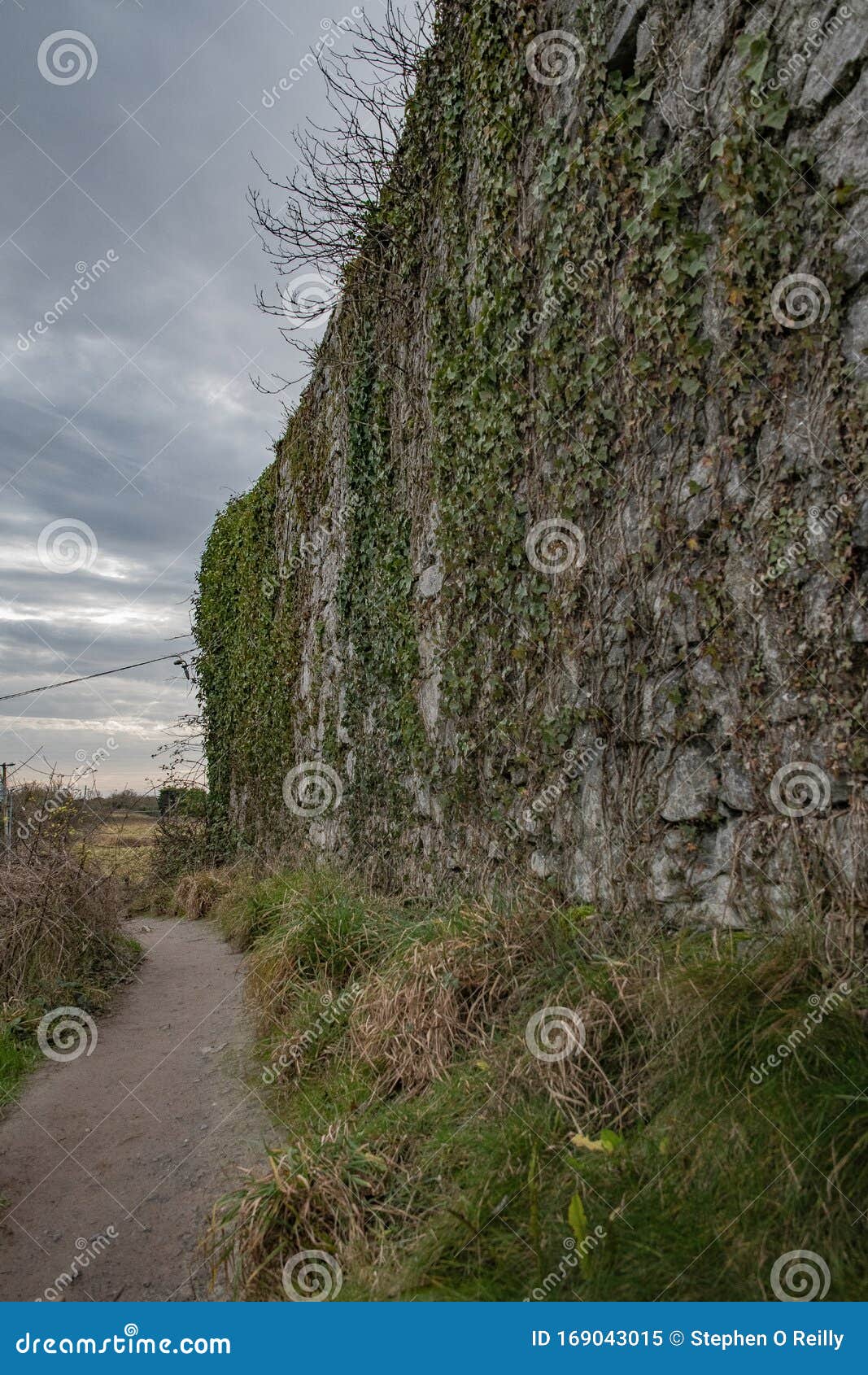 The old Castle wall stock image. Image of bounderys - 169043015