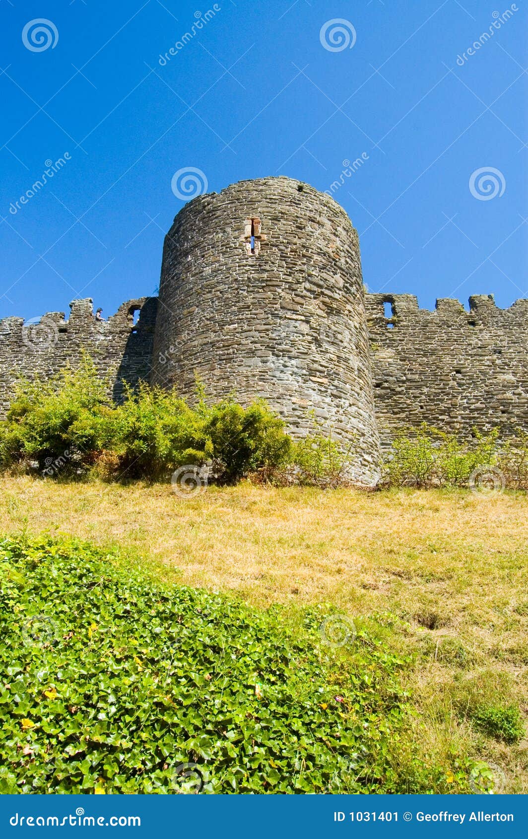 Old Castle wall and turret stock image. Image of grass - 1031401
