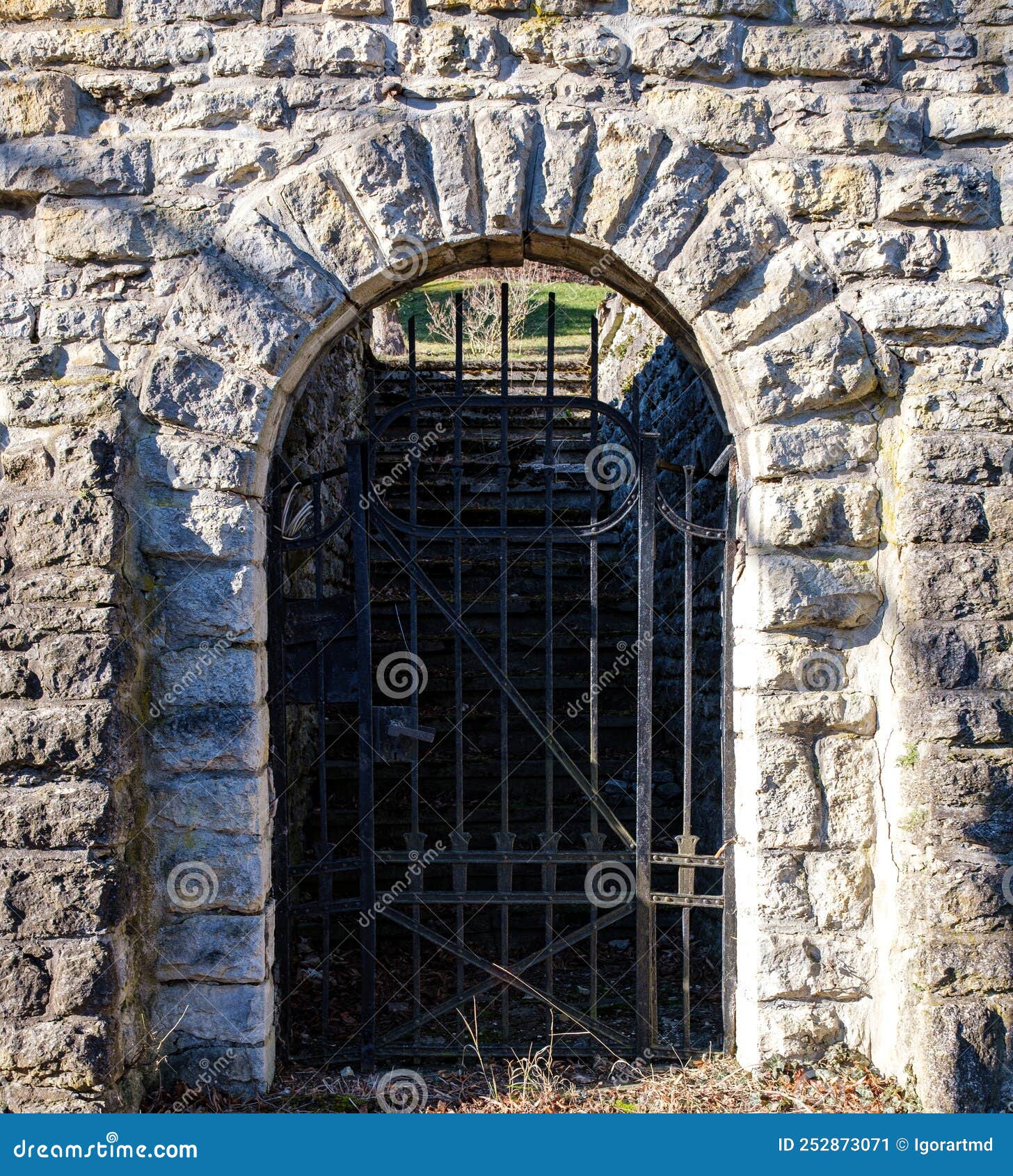 An old castle metal gate stock image. Image of protect - 252873071