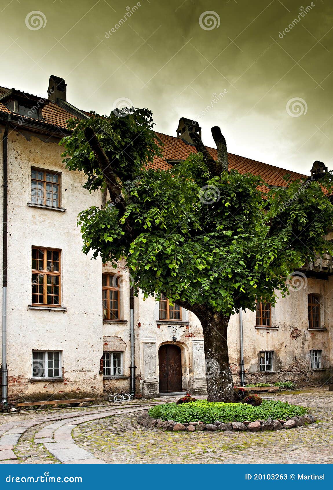 Old castle yard with tree. stock image. Image of tourism - 20103263