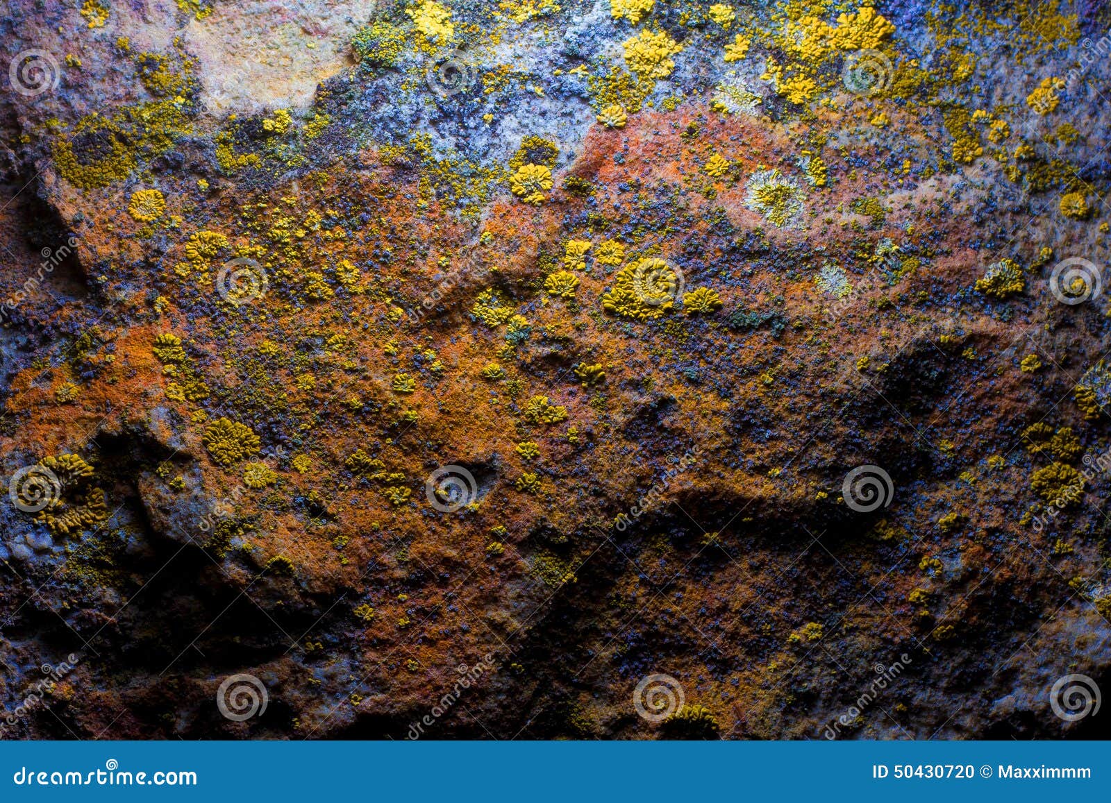 Old Cave Wall with Mold and Moss Stock Photo - Image of monastery ...