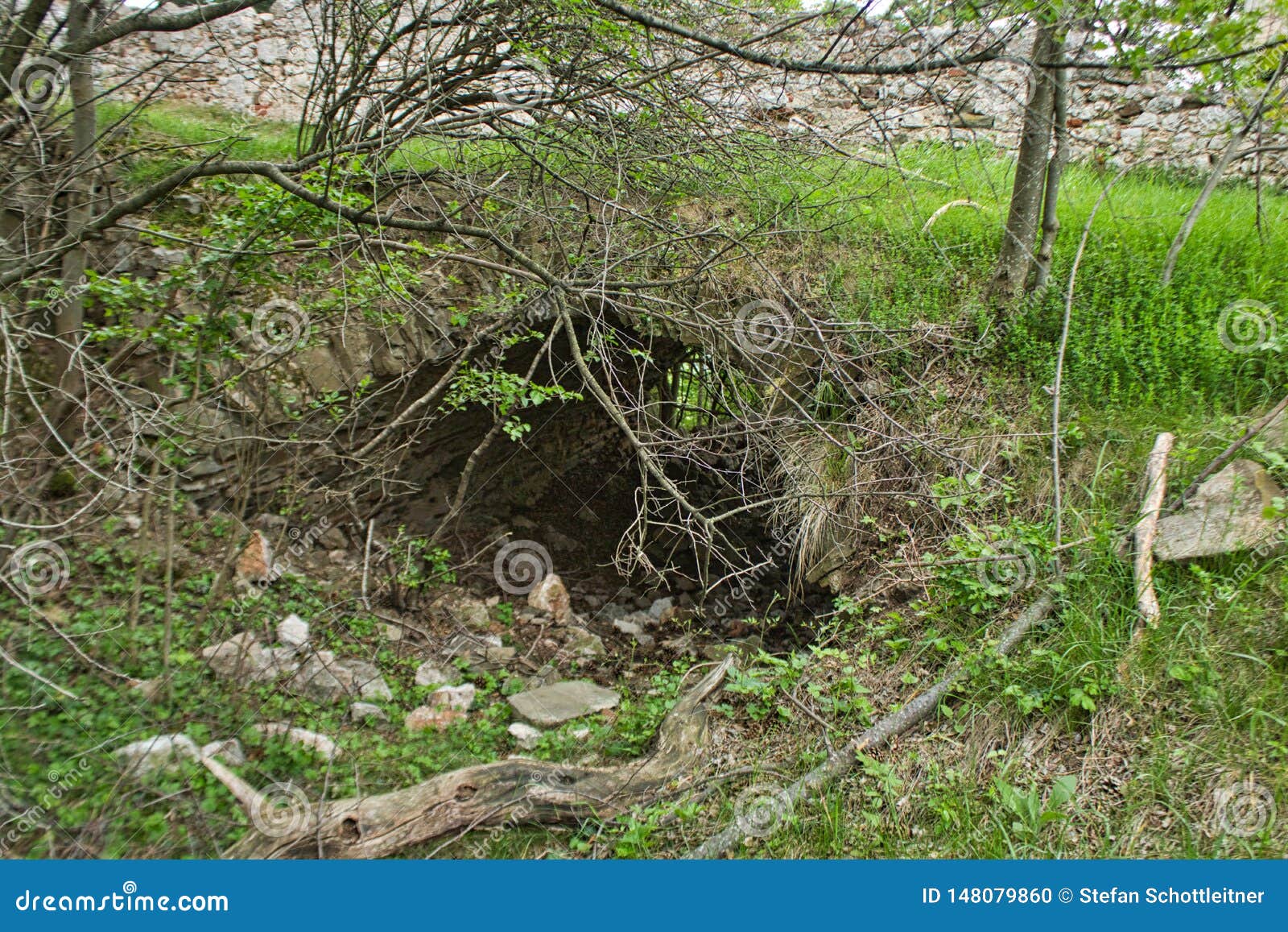 An Old Cave in the Woods on the Ground Stock Photo - Image of research ...