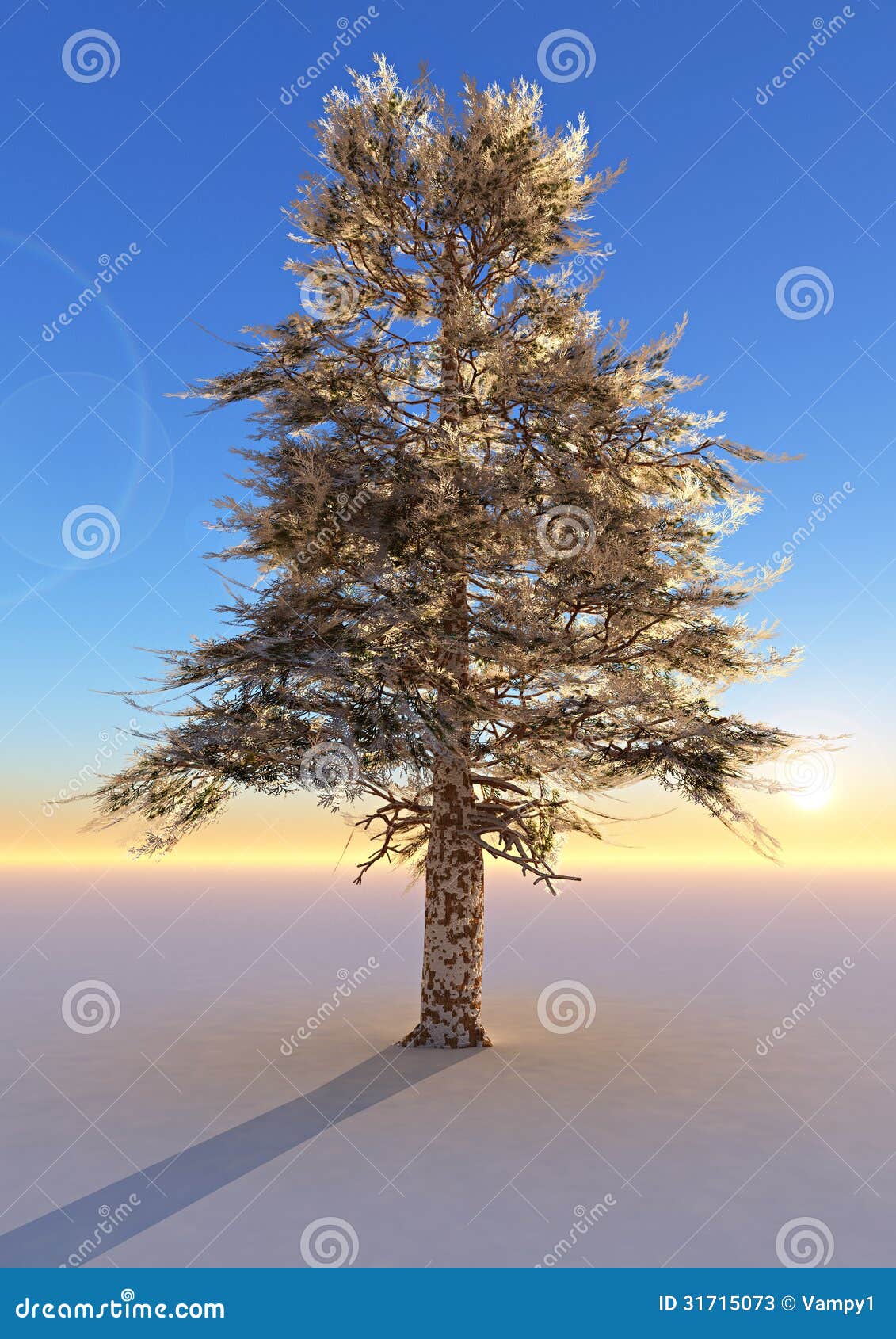 Old cedar tree stock illustration. Illustration of branch - 31715073