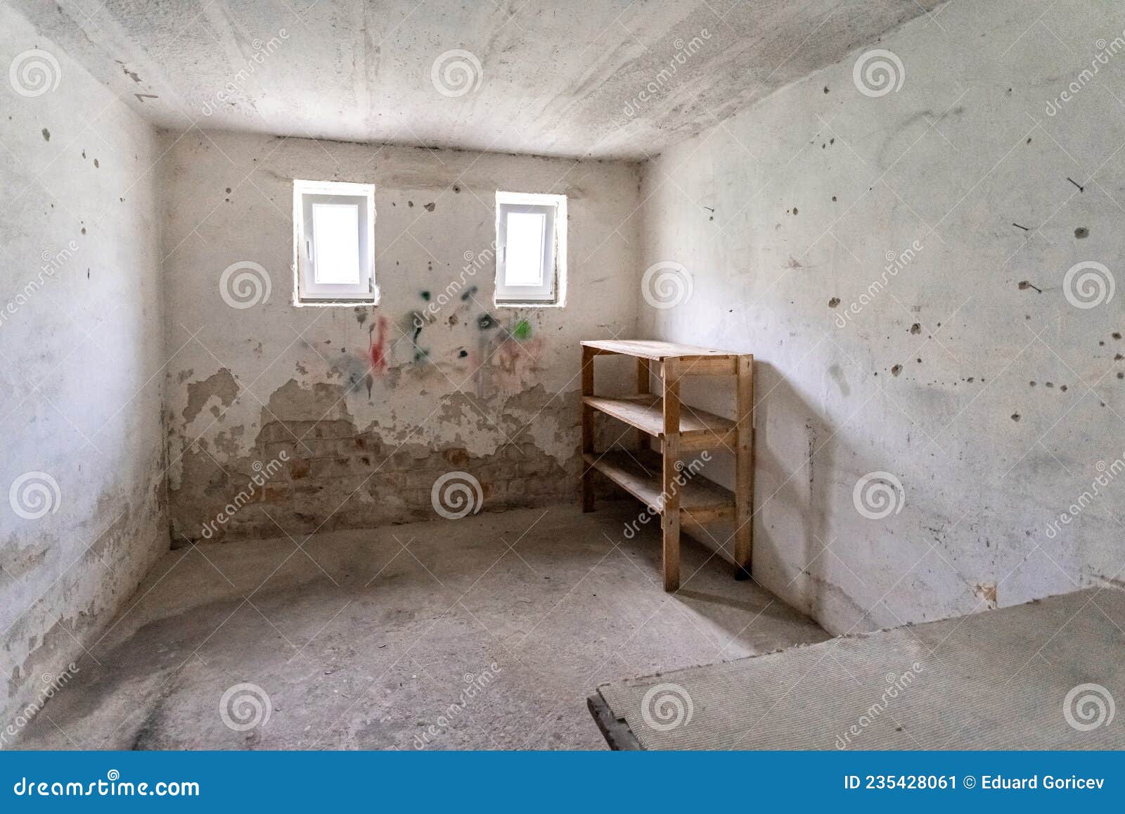 Old Cellar with Mold and Shelves in the House Stock Image - Image of ...