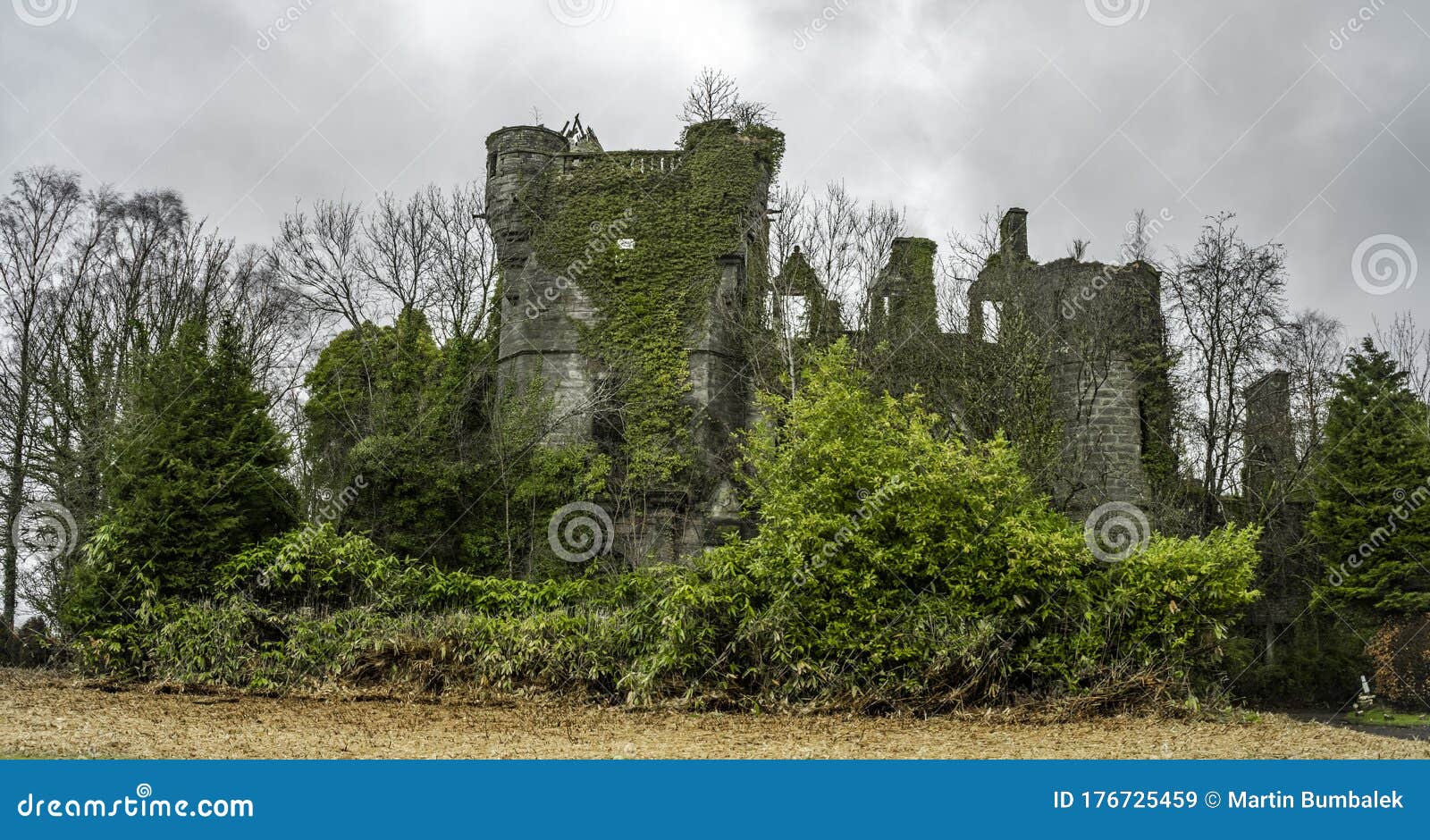 Old Celtic Castle in a Green Bush Stock Image - Image of moss, forest ...