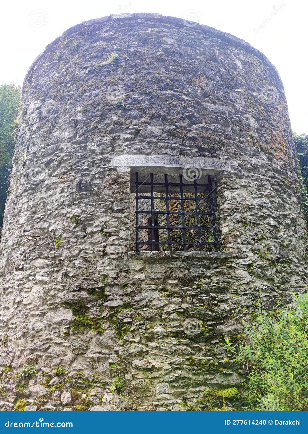 Celtic Tower