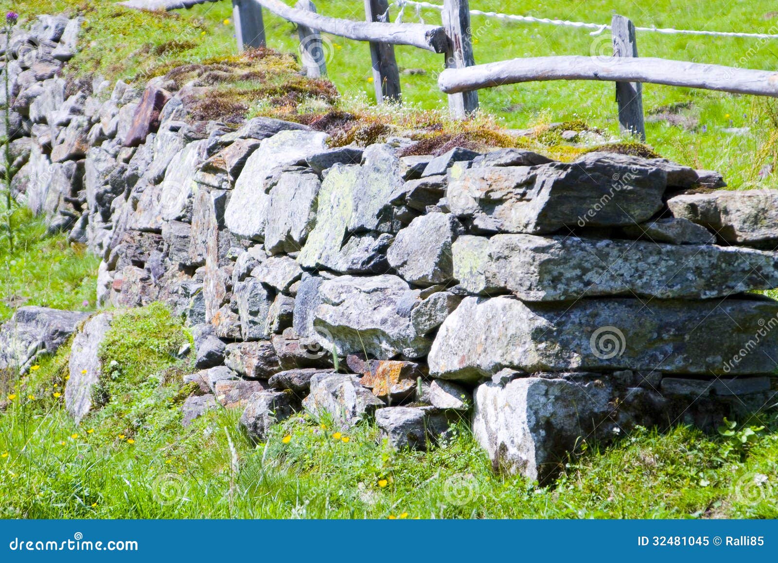 Celtic Wall Decor, Detailed Celtic Designs Embellishing Walls ...