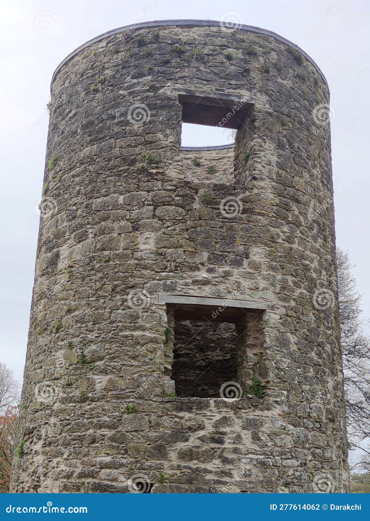 Old Celtic Tower, Blarney Castle in Ireland, Ancient Architecture ...