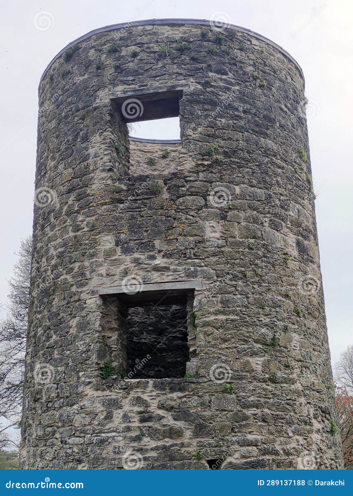 Old Celtic Tower, Blarney Castle in Ireland, Ancient Architecture ...