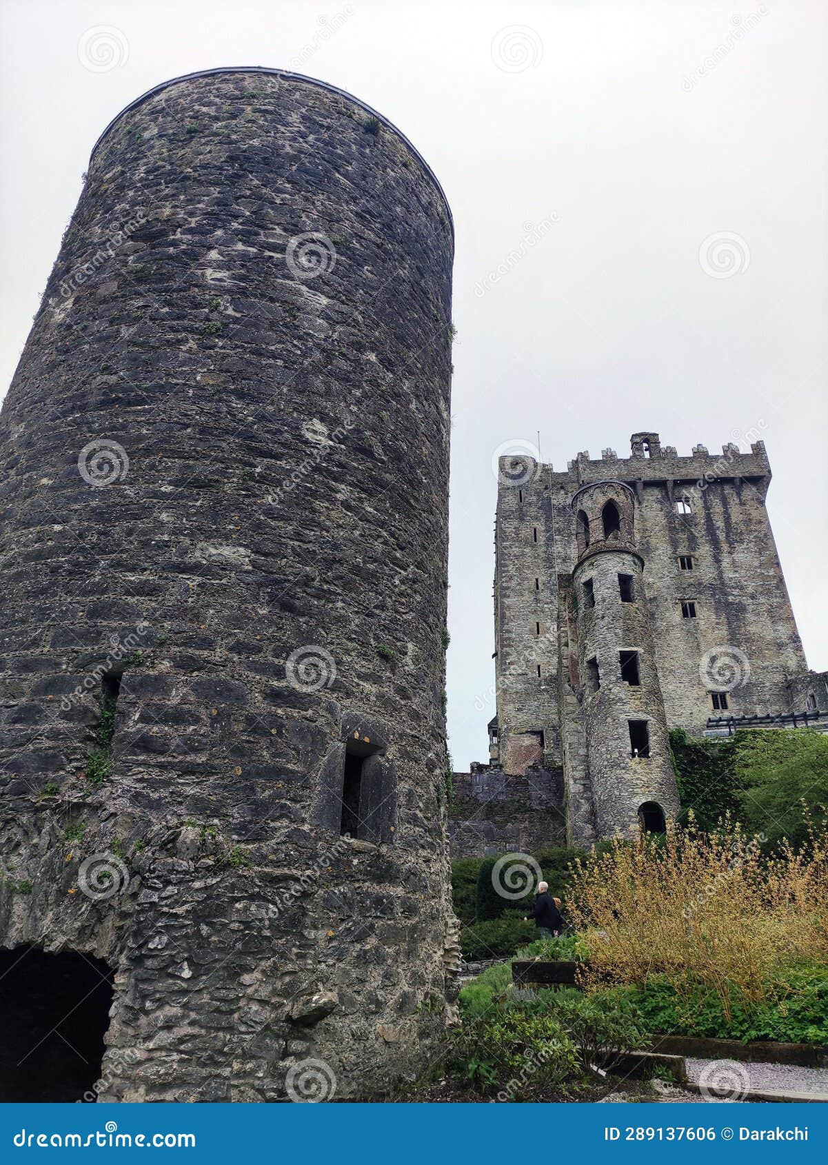 Old Celtic Tower, Blarney Castle in Ireland, Ancient Architecture ...