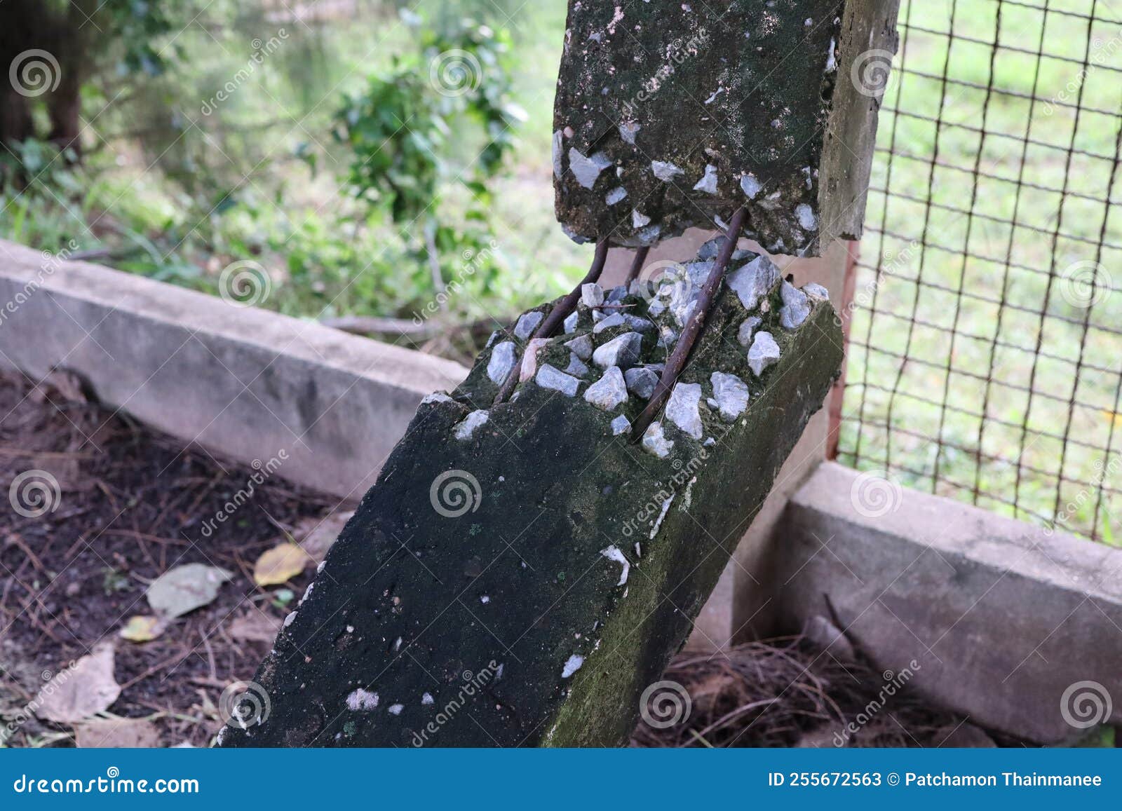Old Cement Columns with Cracks. Rusty Iron Visible Inside Stock Image ...