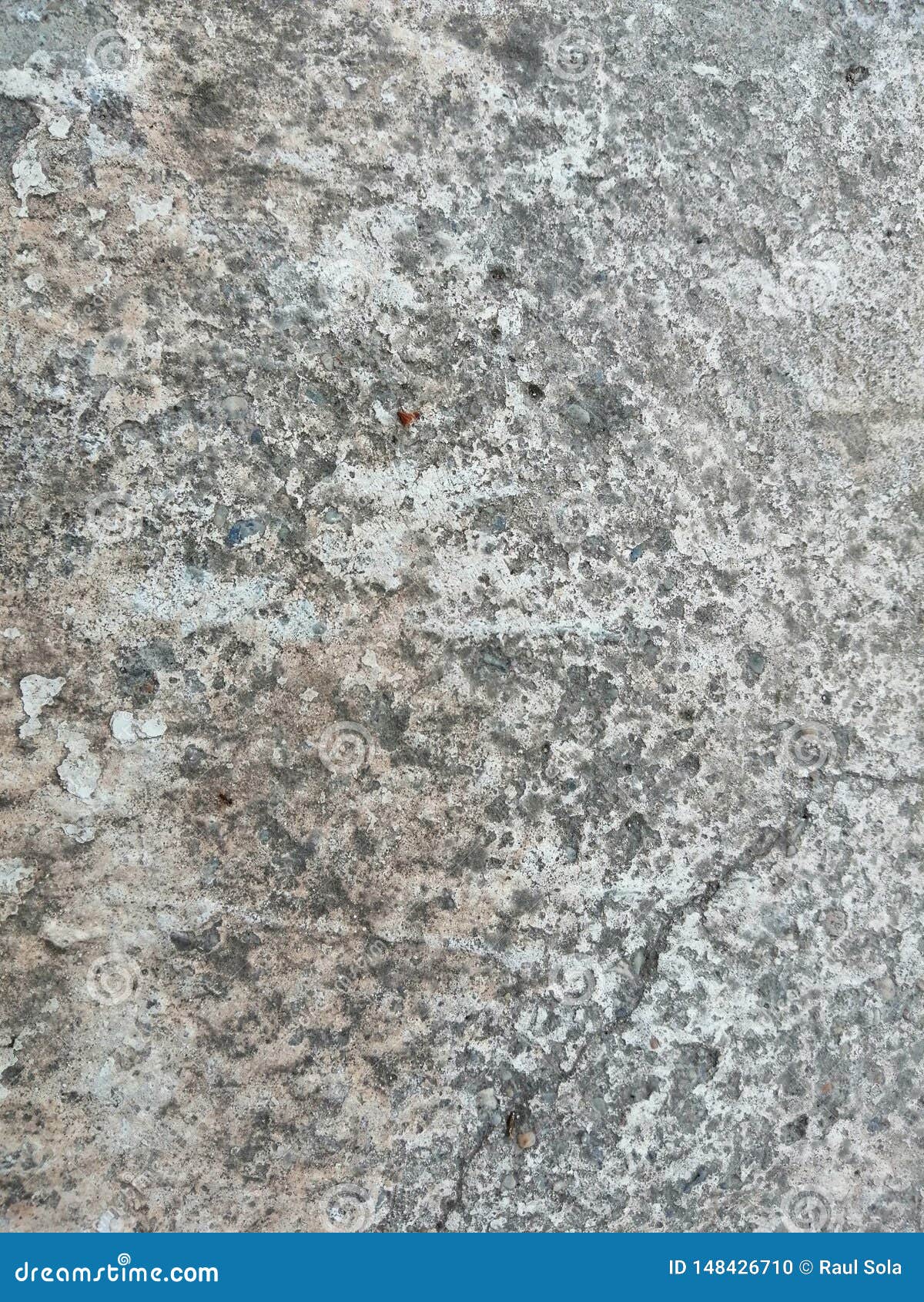 Old Cement Old Cement Floor. Background. Detail of Concrete Stock Photo ...