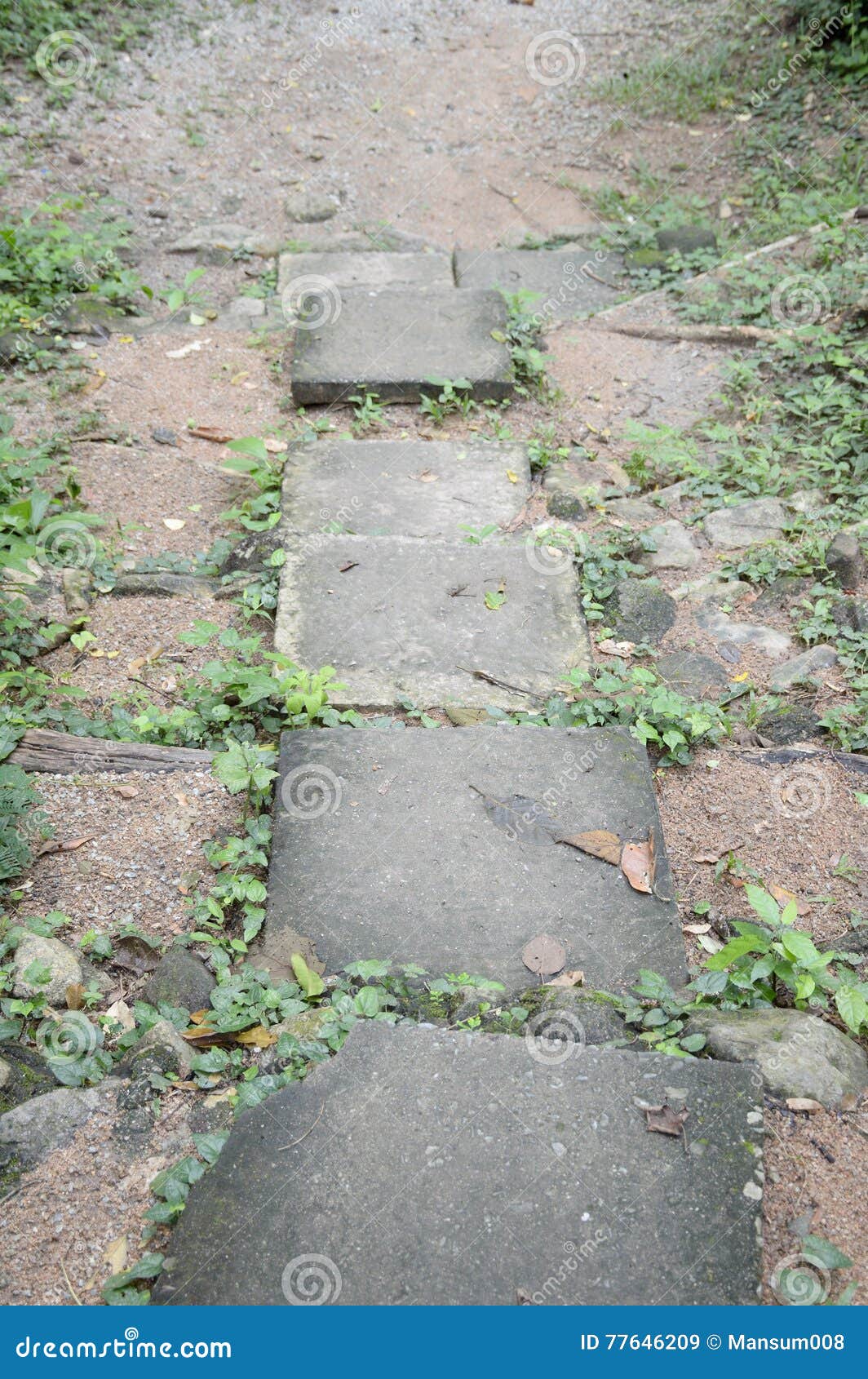 Old cement plate stock image. Image of outdoor, cement - 77646209