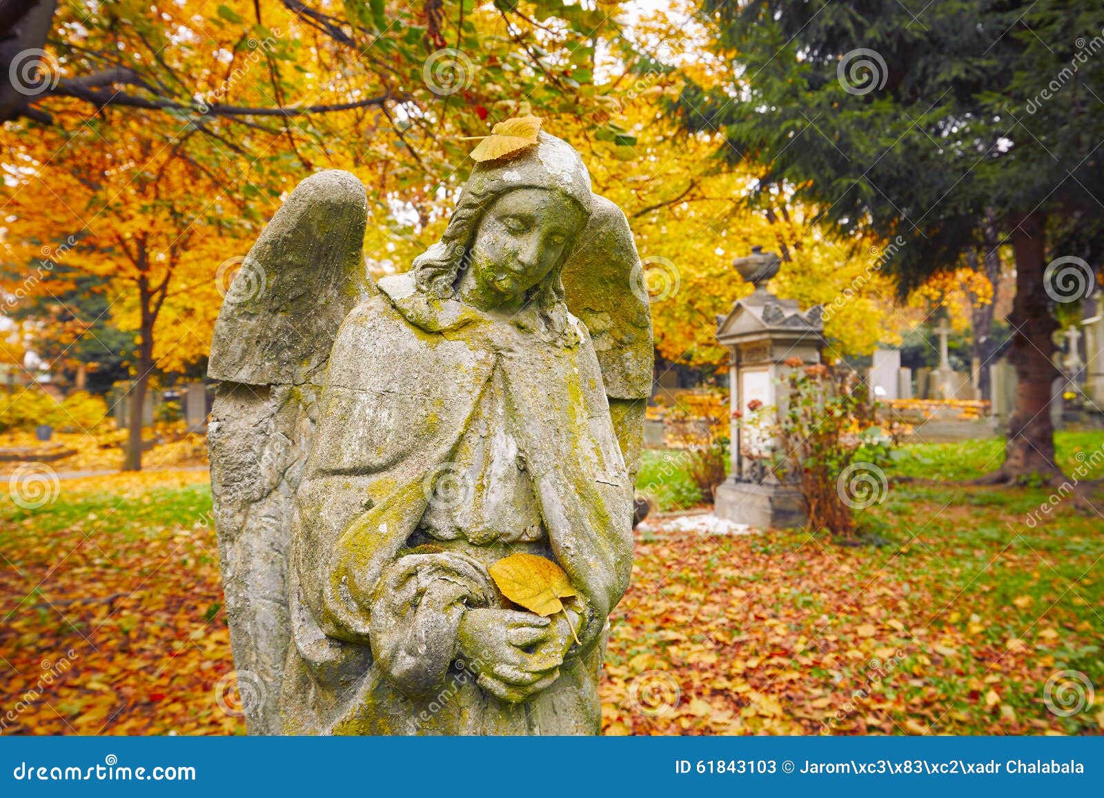 Old cemetery in autumn stock image. Image of catholicism - 61843103