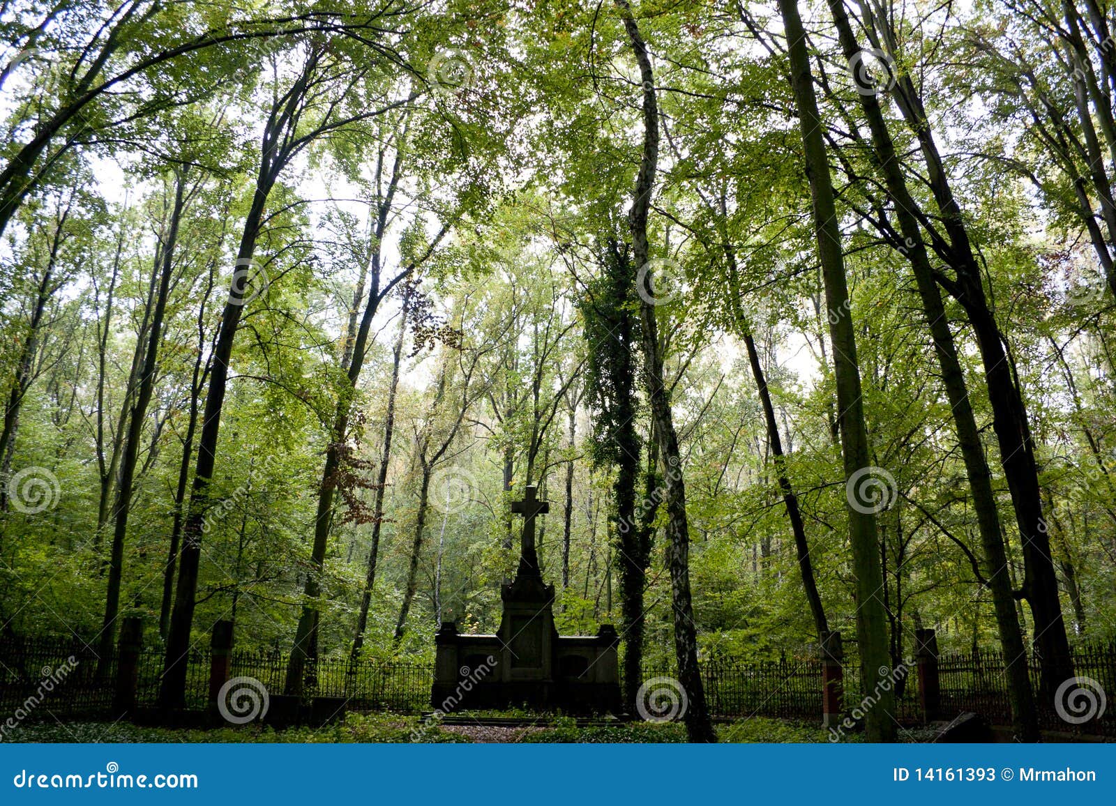 Old cemetery in a forest stock image. Image of mysterious - 14161393