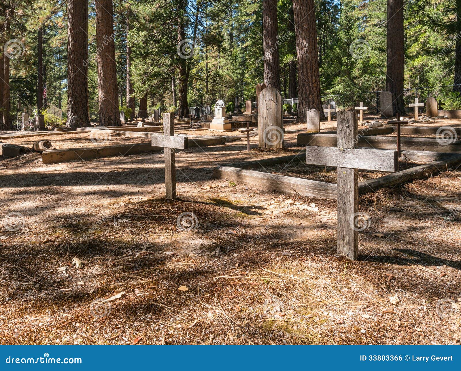 Old cemetery in the forest stock photo. Image of gravestone - 33803366