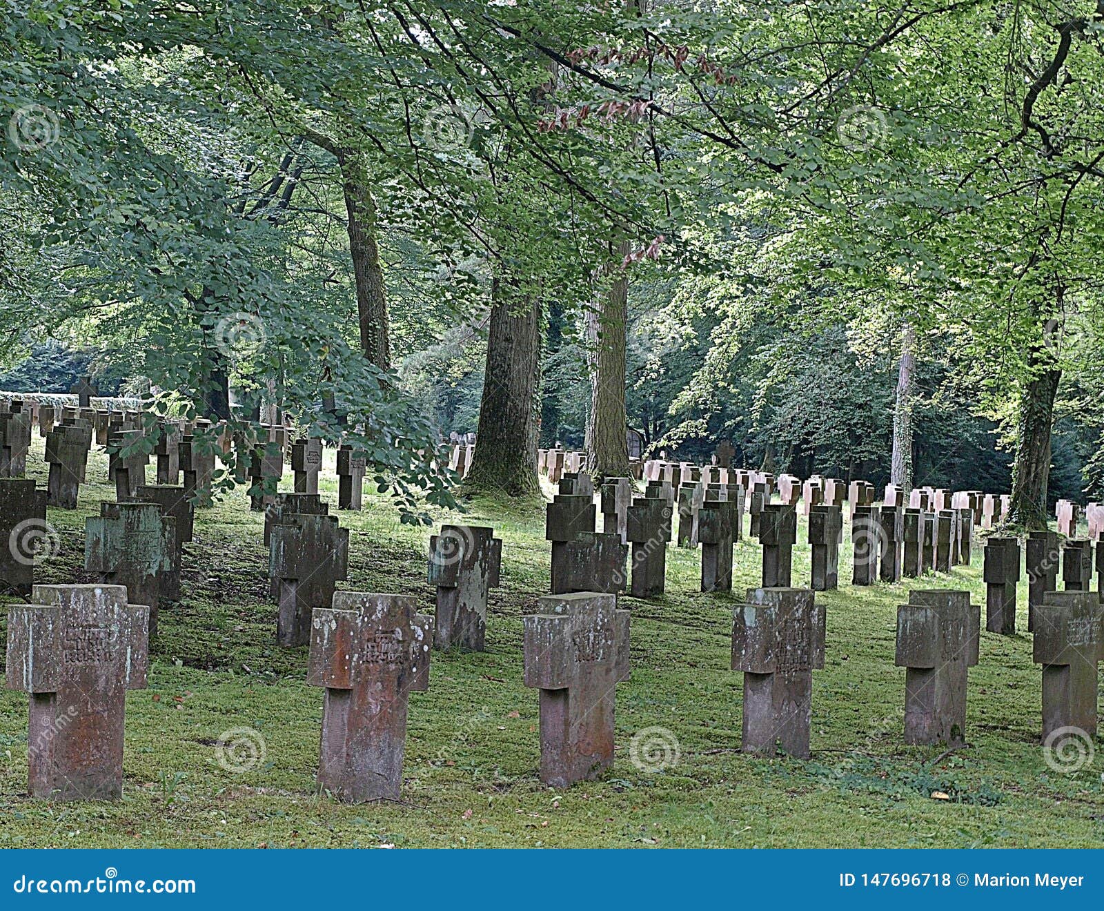 Old Cemetery in Stuttgart in Germany Editorial Stock Photo - Image of ...