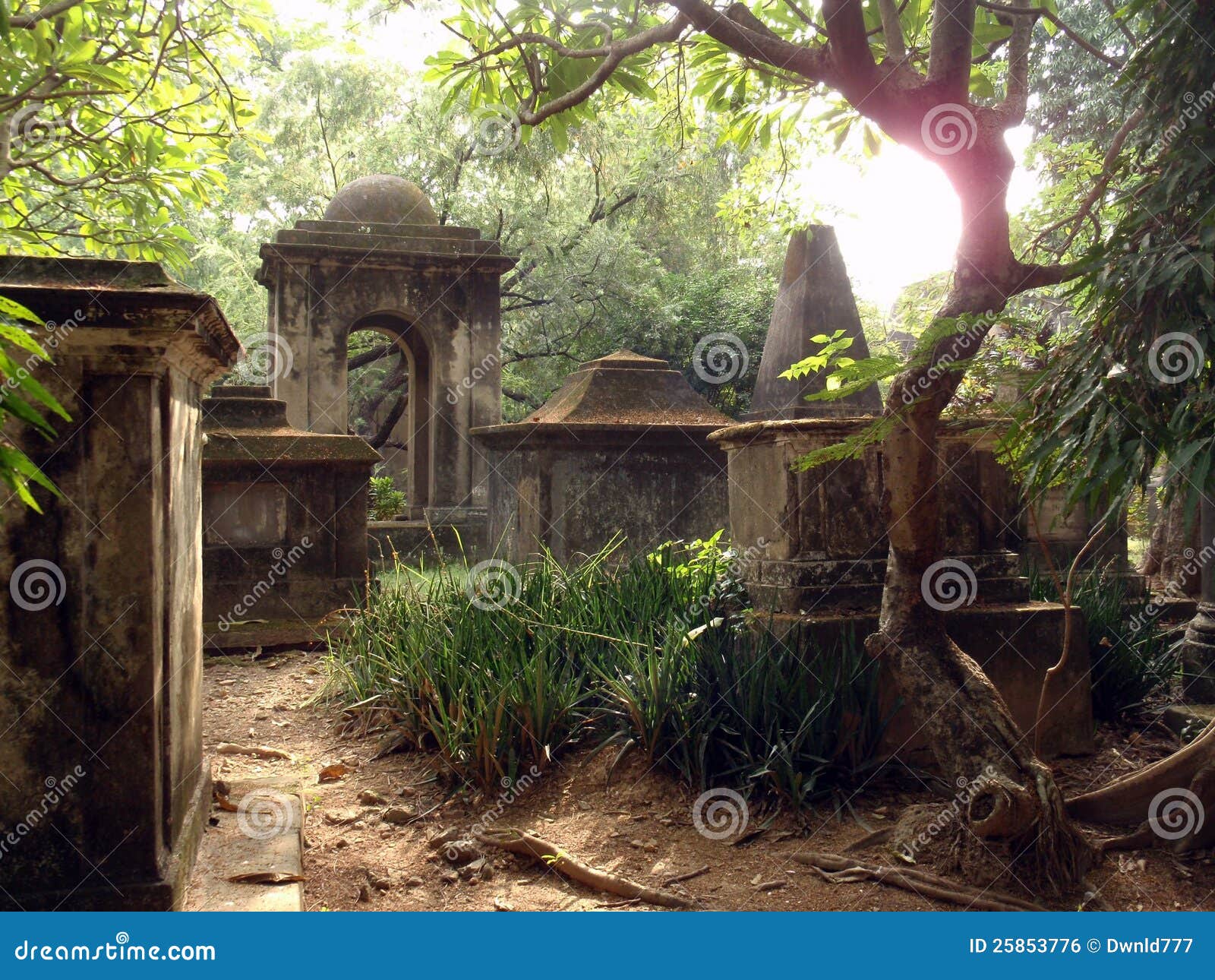 Old cemetery with trees stock photo. Image of beautiful - 25853776