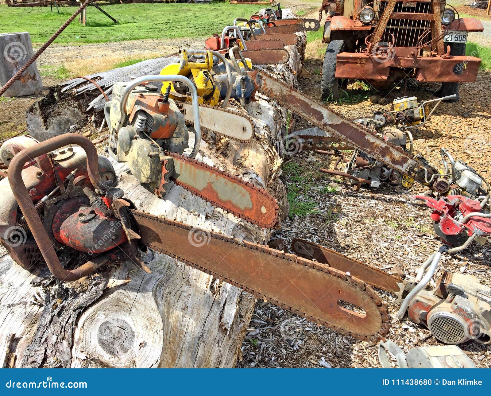Old Chainsaws and Forestry Equipment in Oregon Stock Photo - Image of ...