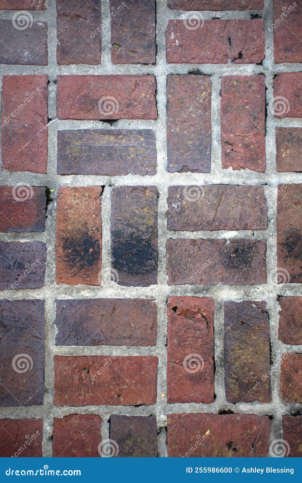 Old Checkerboard Brick Pathway, Nostalgic Brick Path Stock Photo ...