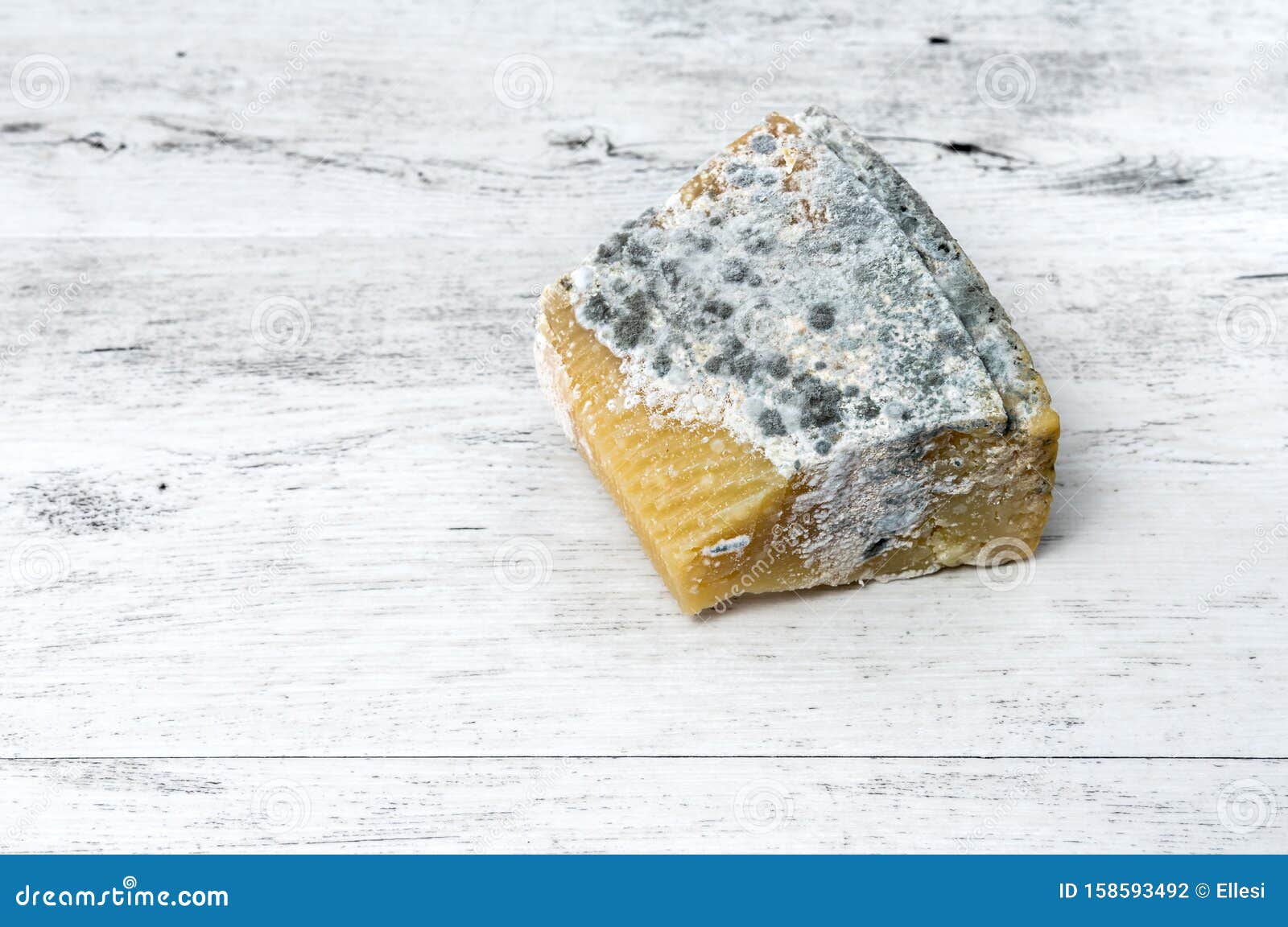 Old Cheese Covered with Mold on Rustic White Wooden Background Stock ...