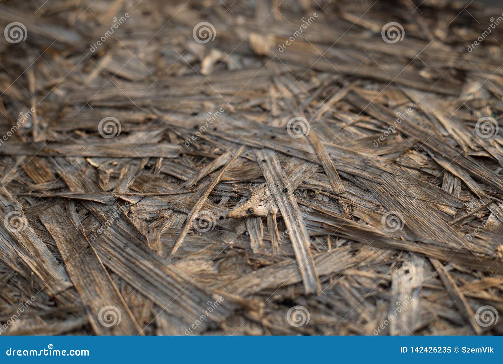 Old Chipboard Texture on Dimmed Sun Stock Image - Image of carpentry ...