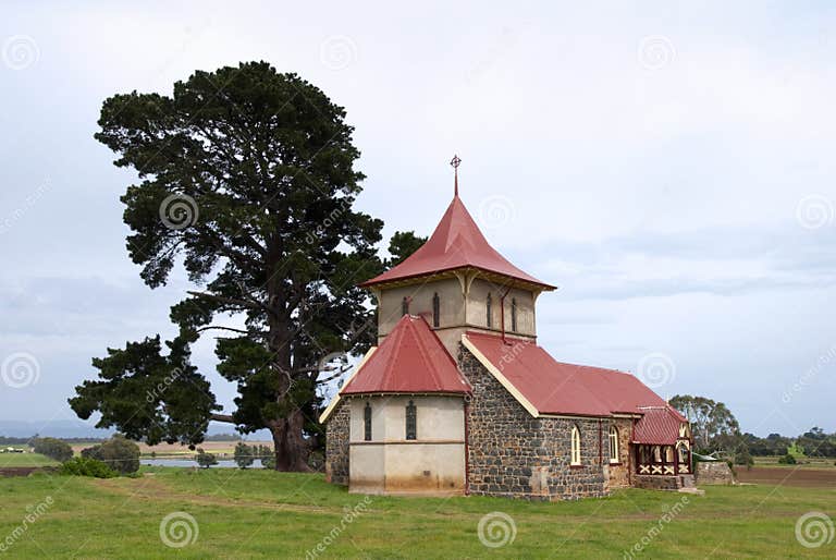 Old Church and Pine Tree in Rural Setting Stock Image - Image of ...