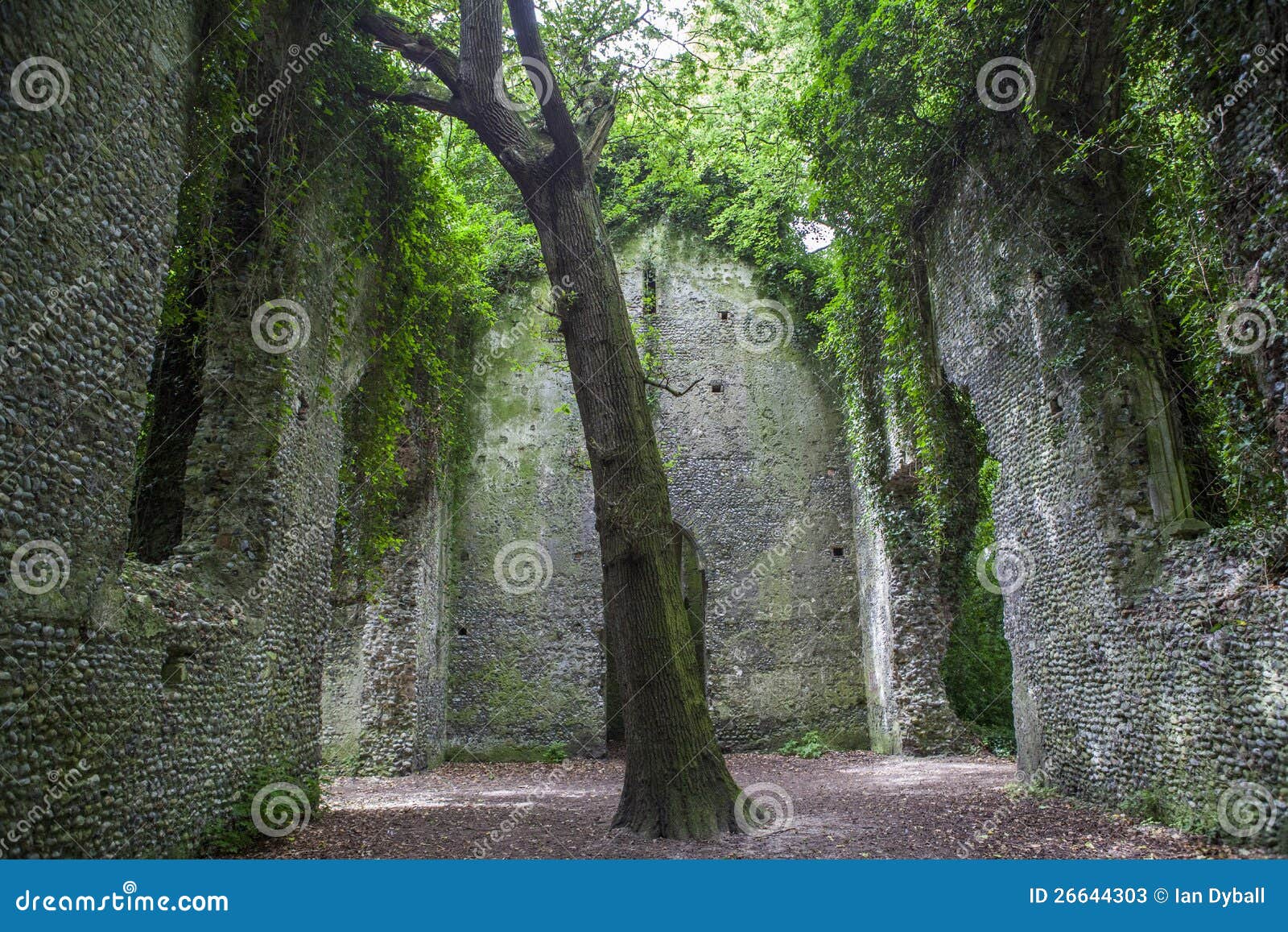 Old Church Ruin Haunted by a Witch Stock Image - Image of mary, nave ...