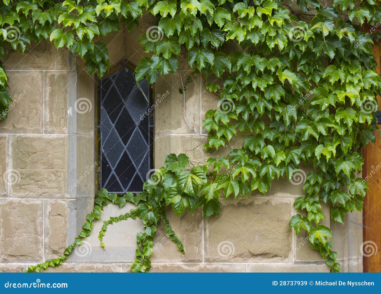 Old Church Window with Ivy Around Window Stock Image - Image of ...