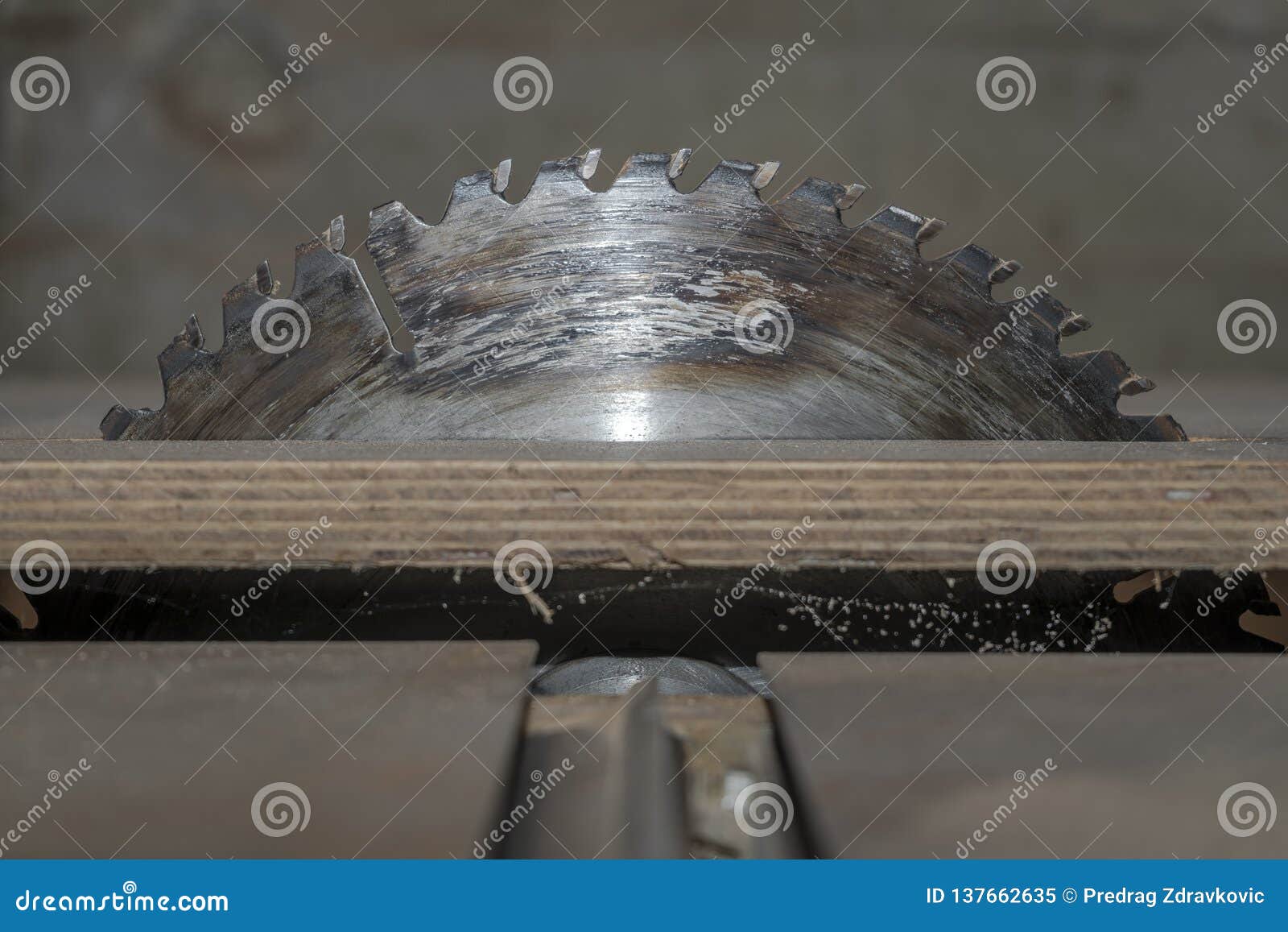 An old circular saw stock image. Image of planer, industry - 137662635
