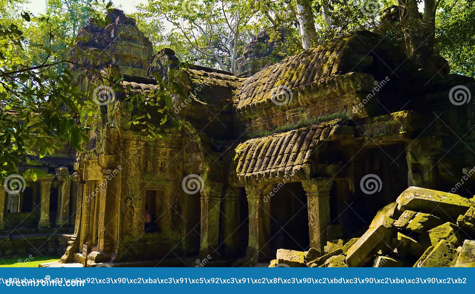 Old city stock photo. Image of garden, plant, shrine - 258328354