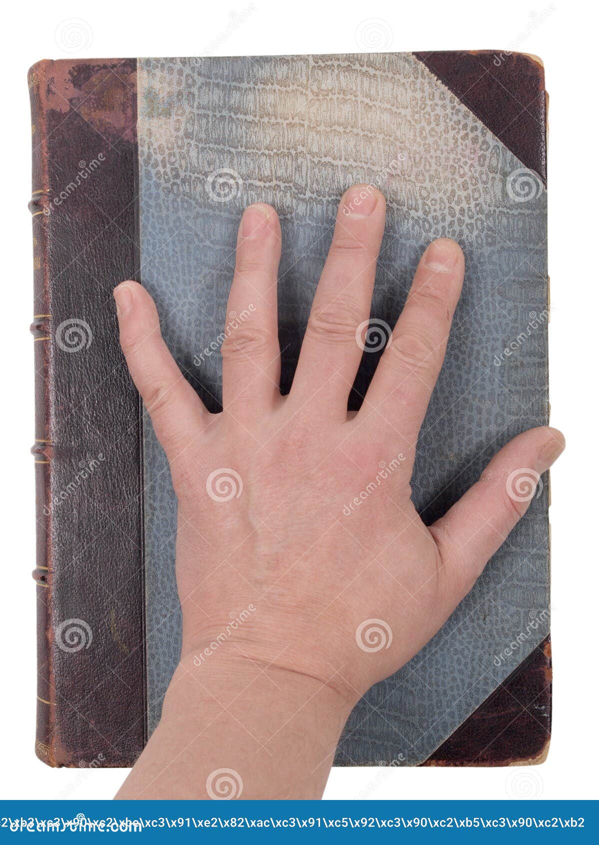 Hand whit book one stock image. Image of paper, color - 134927097