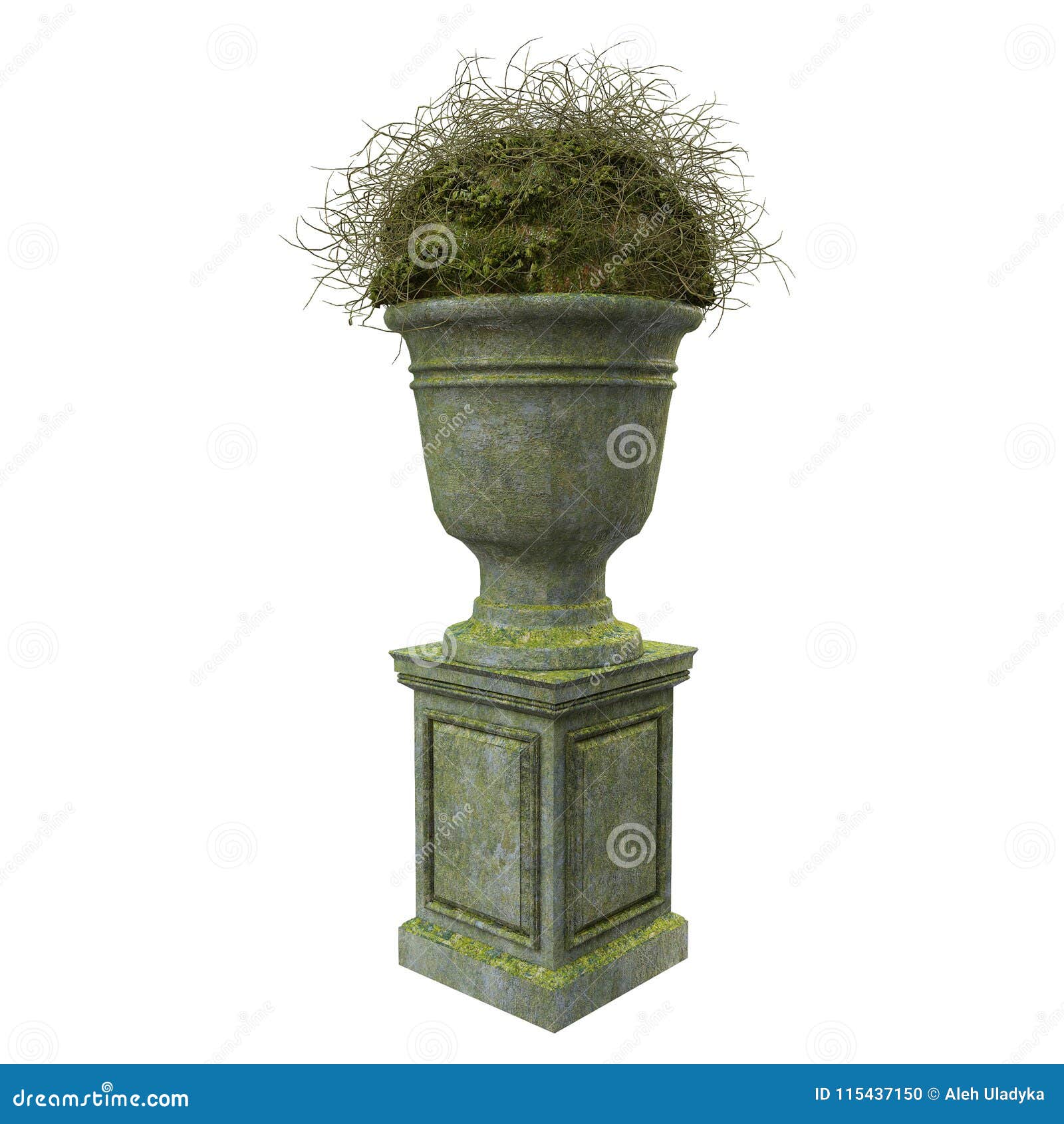 Old classic vase stock photo. Image of gray, background - 115437150