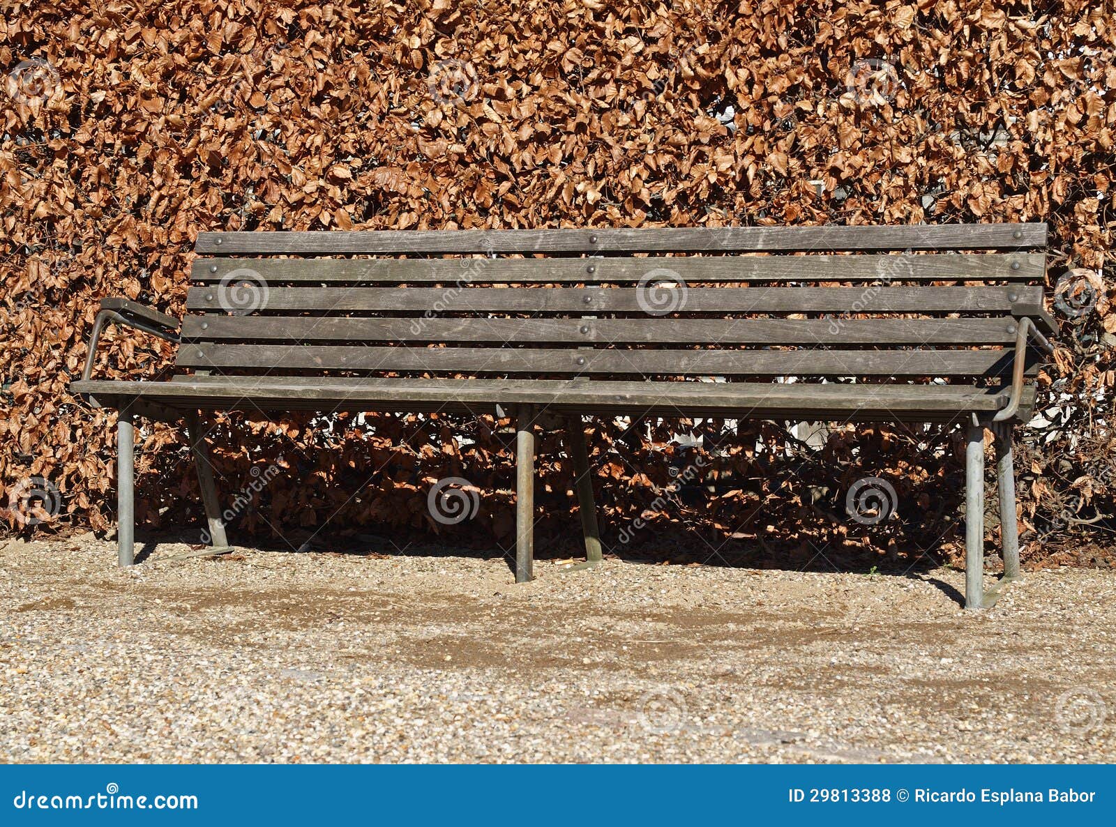 Classic park bench stock photo. Image of bench, castiron - 29813388