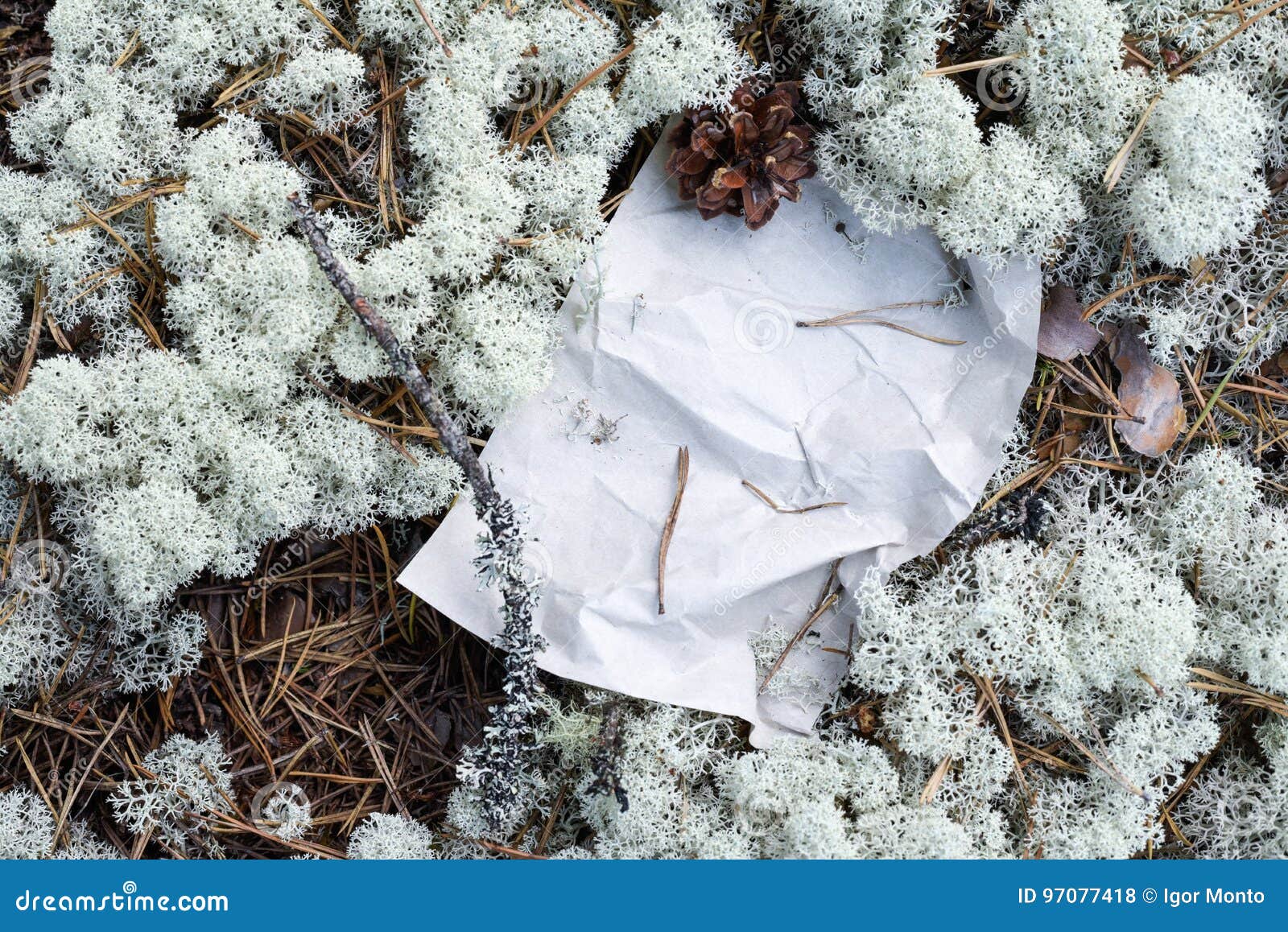 Paper Underfoot Stock Photos - Free & Royalty-Free Stock Photos from ...