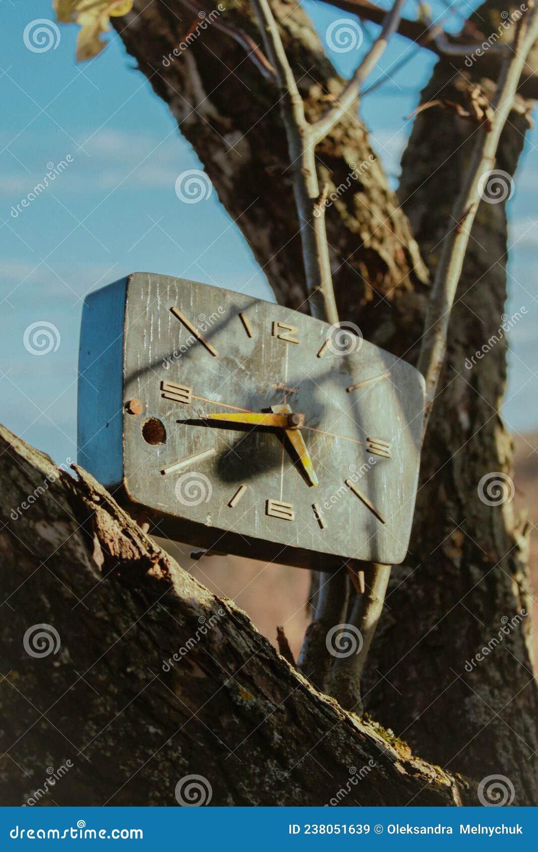 Old retro clock on a tree stock image. Image of yellow - 238051639
