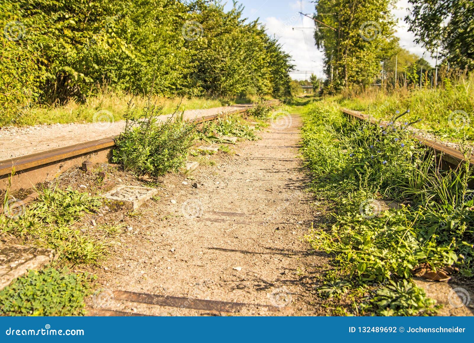 Old Closed Overgrown Railway Stock Photo - Image of line, track: 132489692