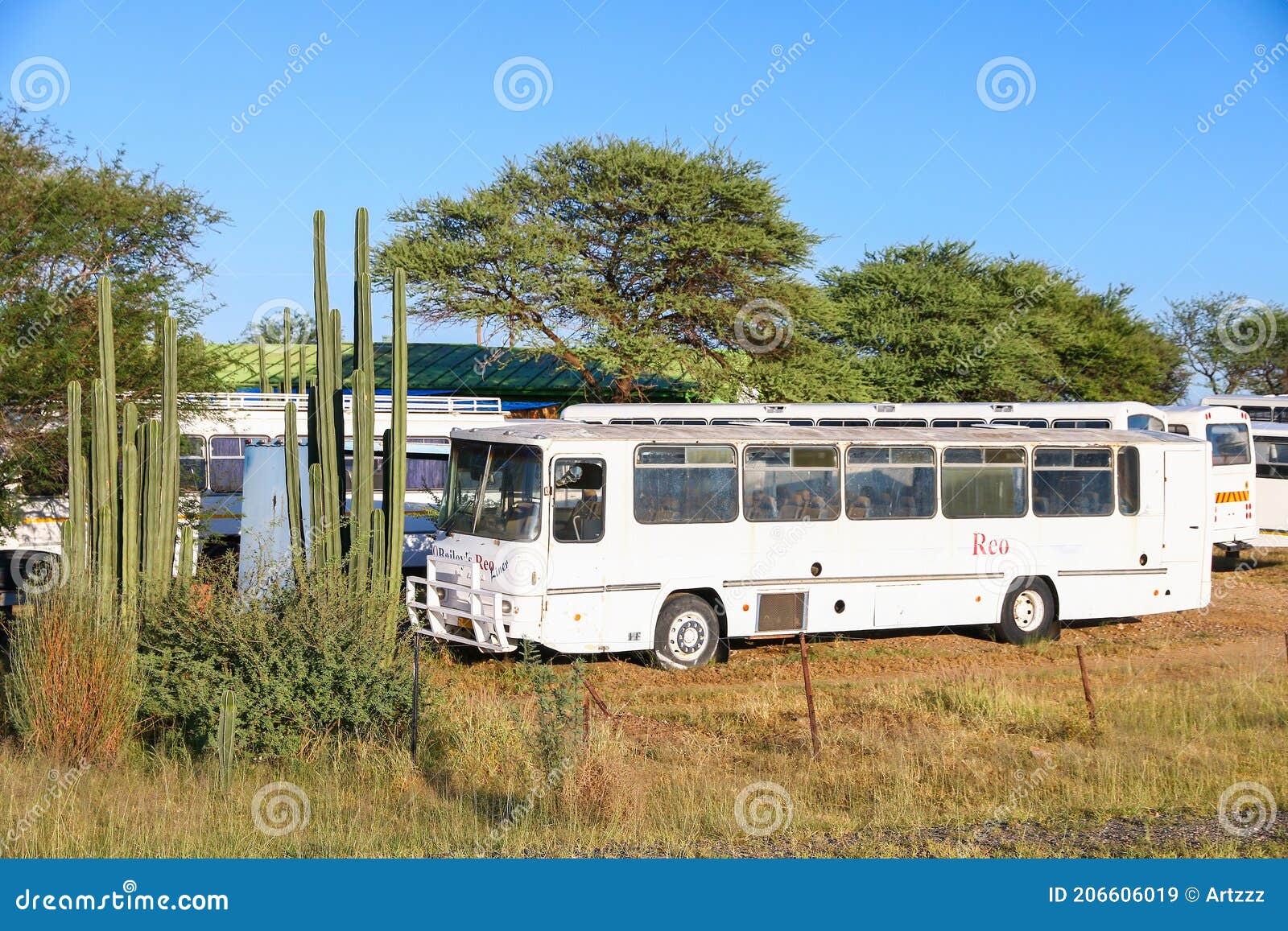 Old coach buses editorial stock image. Image of africa - 206606019