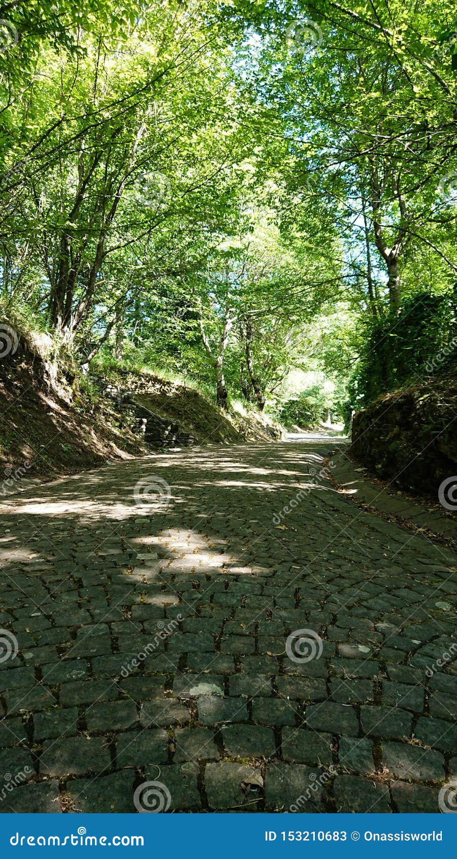 Old Cobble Stone Footpath in the Country Stock Image - Image of cobbled ...
