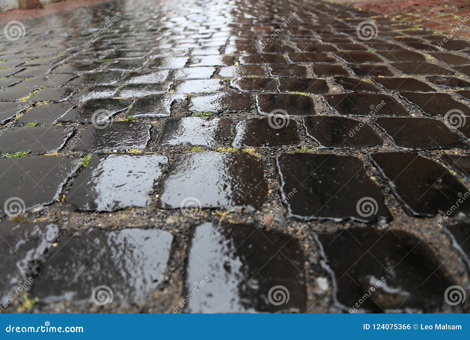 Old cobbled surface stock photo. Image of cobblestone - 124075366