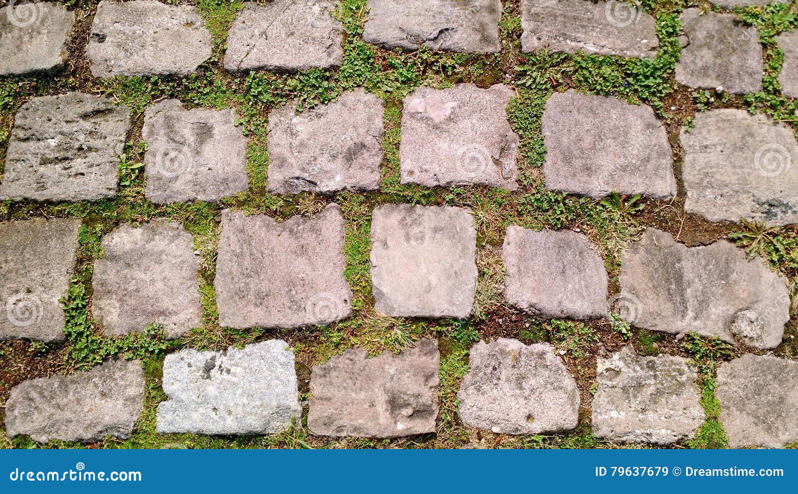 Old cobblestone footpath stock image. Image of park, object - 79637679