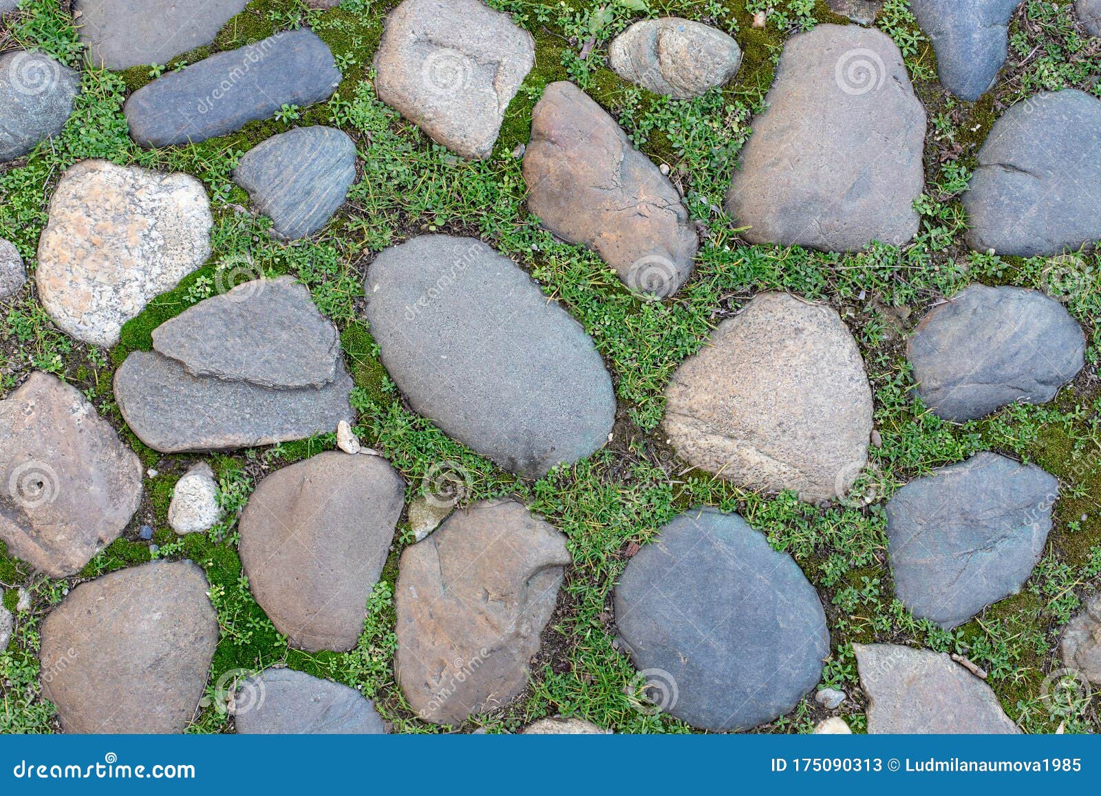 Old Cobblestone Path with Grass and Moss between the Stones. Stock ...